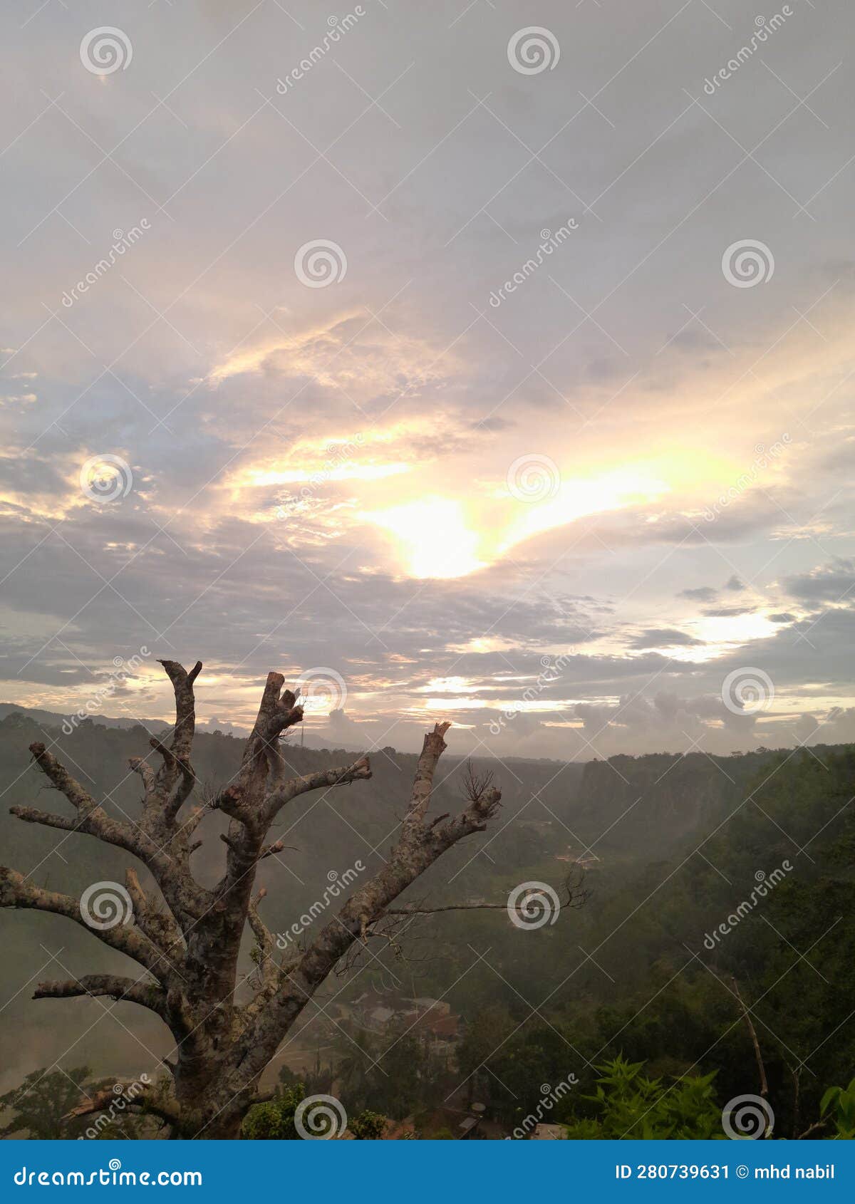 Beautiful Dead Tree with Orange Sky Clouds Stock Image - Image of ...