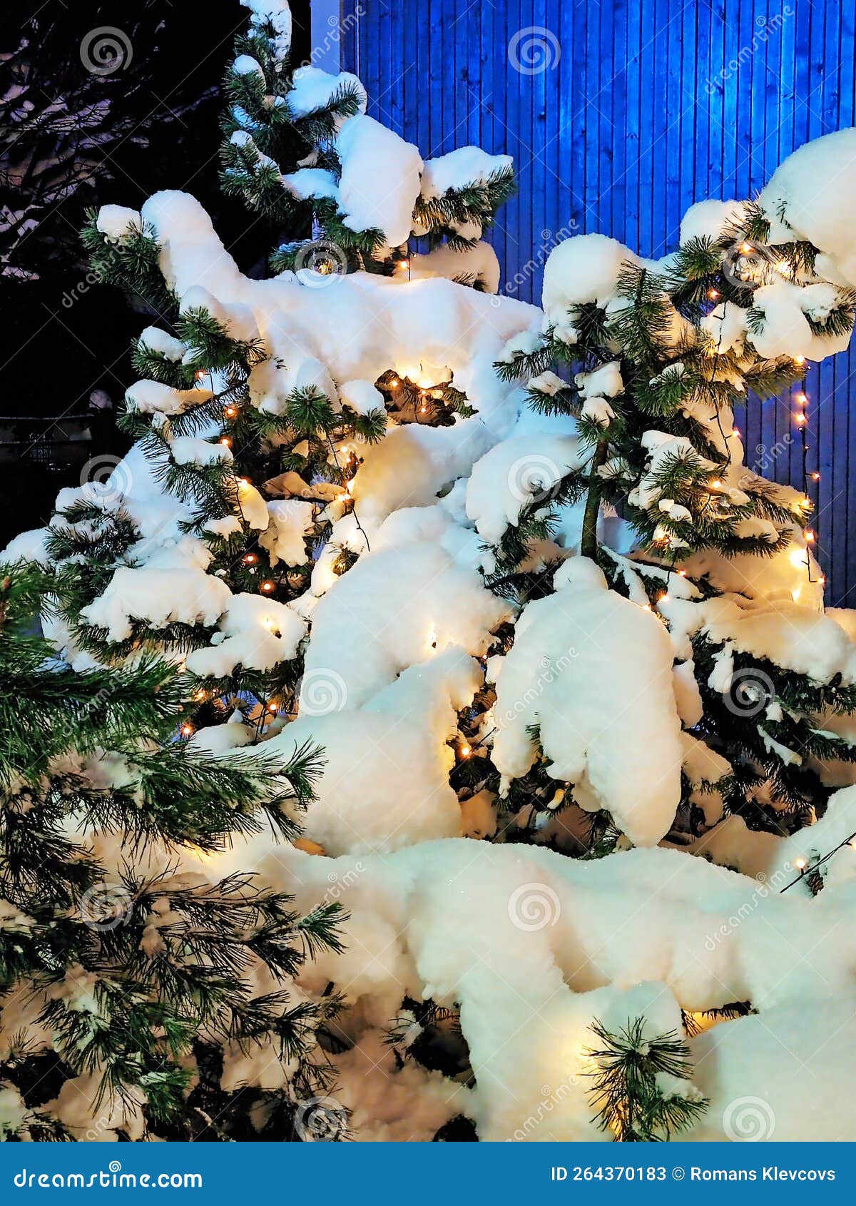 Beautiful Decorated Snowed in Christmas Tree in a Cold Winterlandscape ...