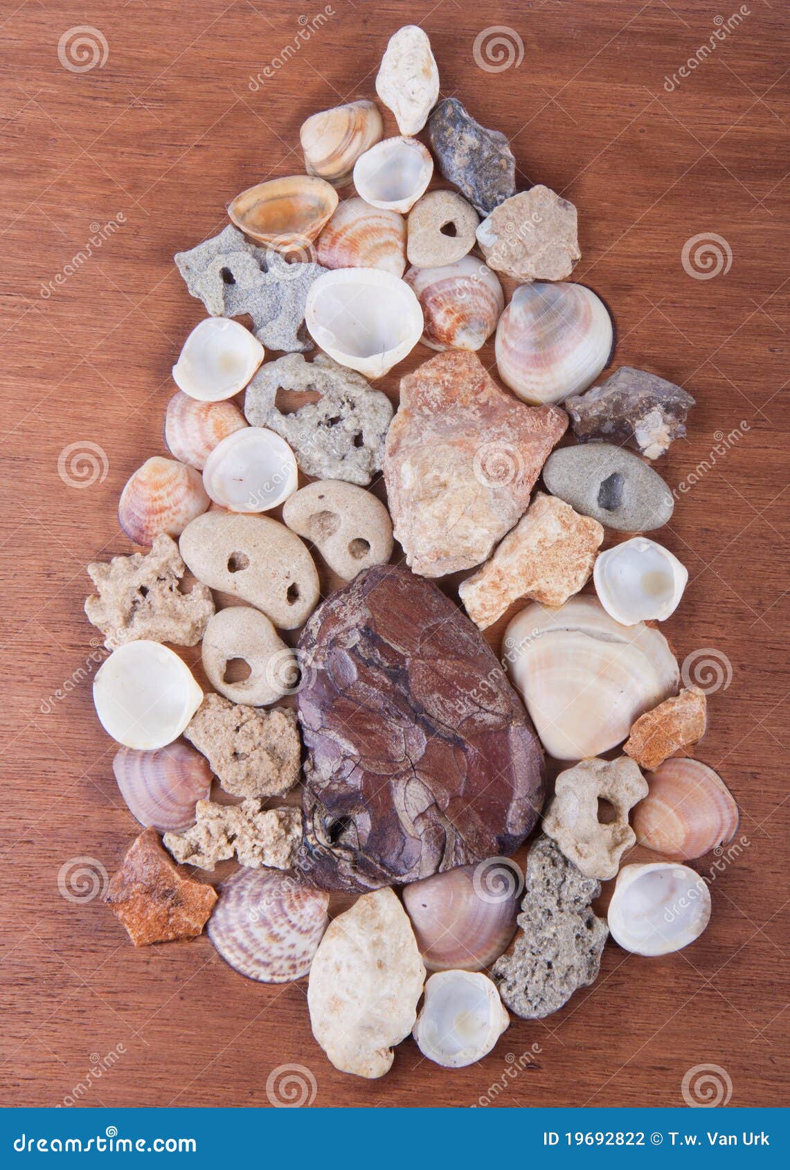 Beautiful Decoration of Colorful Stones and Shells Stock Photo - Image ...