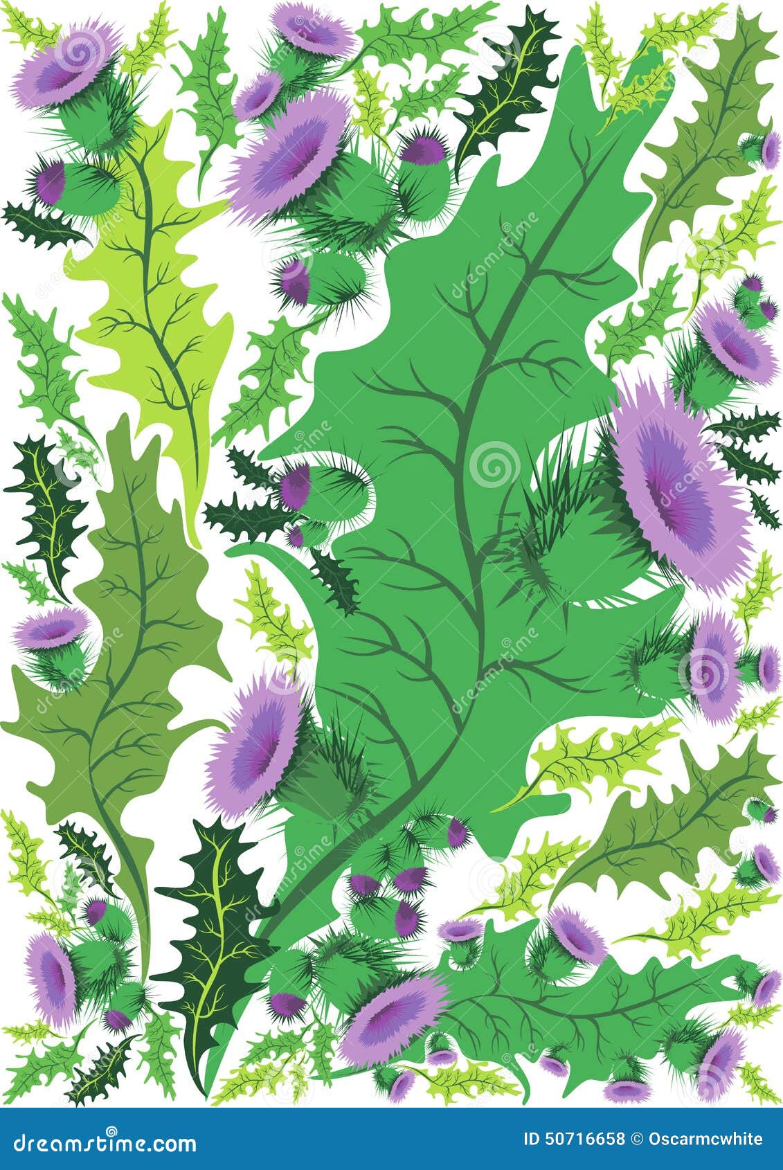 Beautiful Decorative Border of Flowers Thistle Stock Vector ...