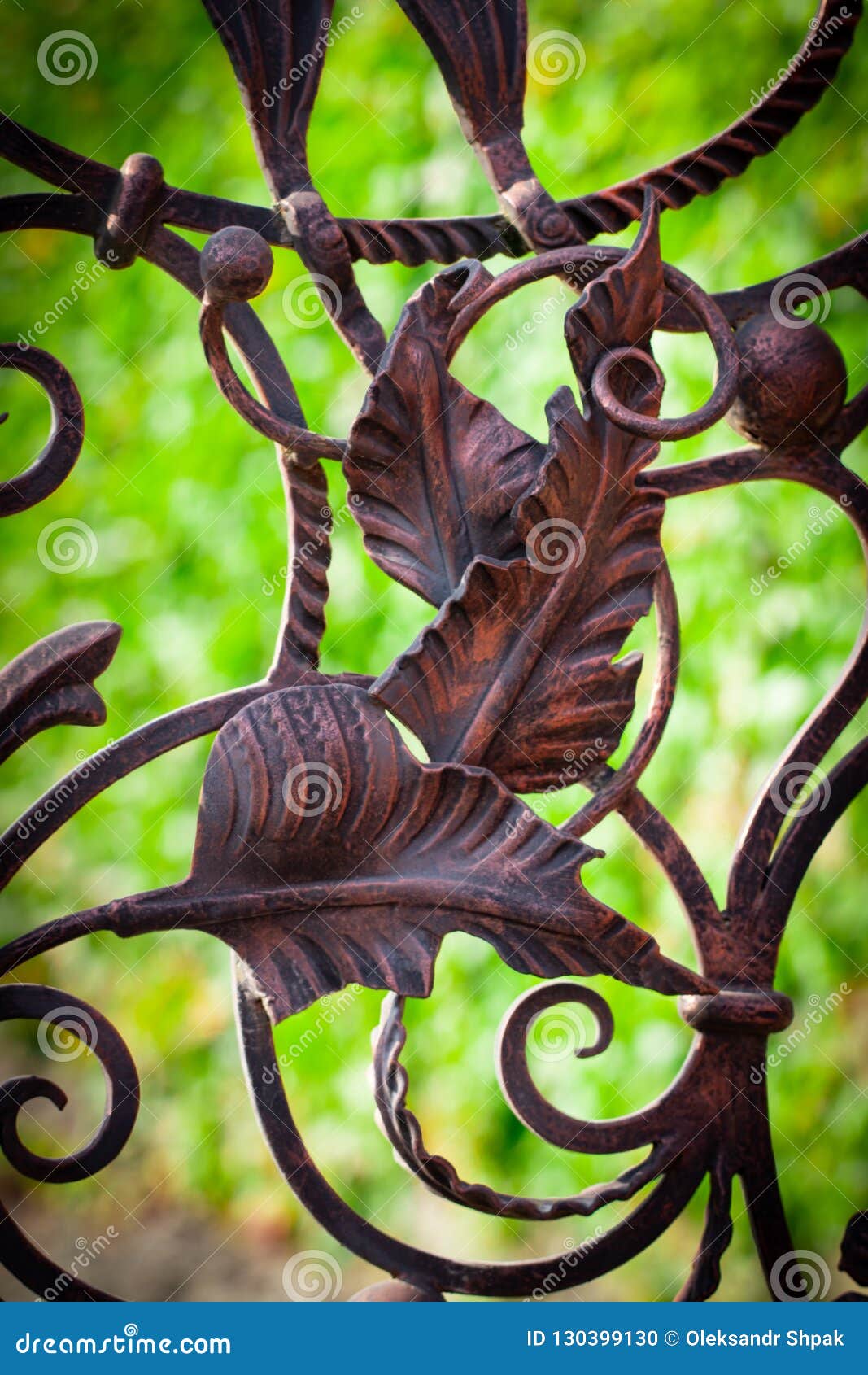 Beautiful Decorative Metal Elements Forged Wrought Iron Gates Stock ...