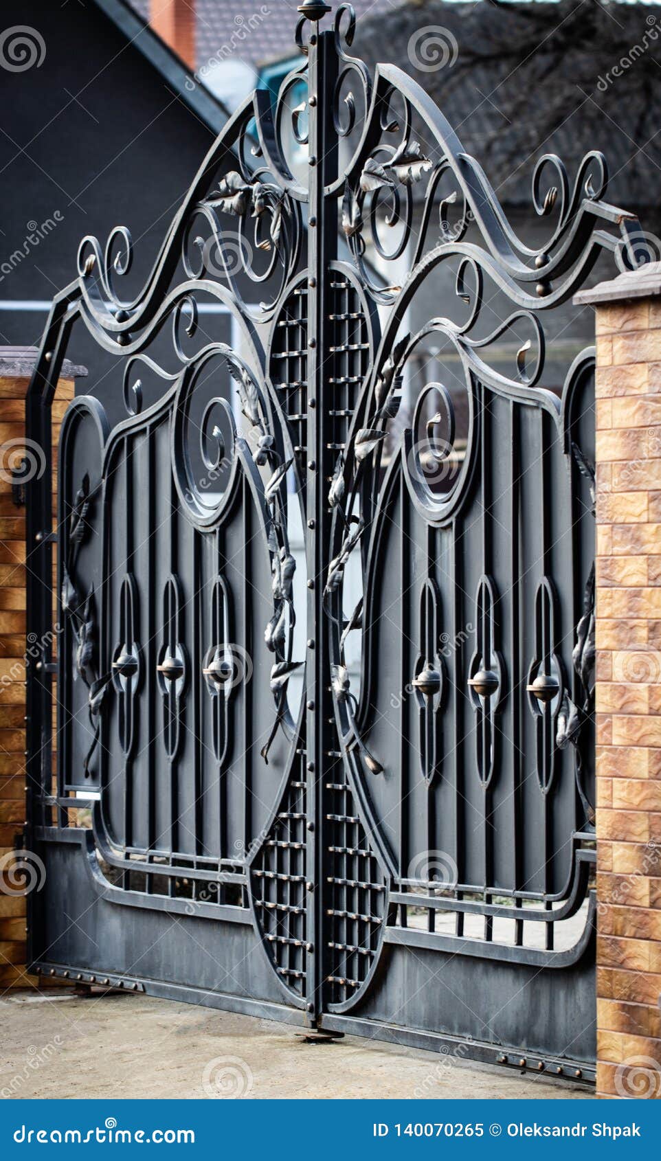 Beautiful Decorative Metal Elements Forged Wrought Iron Gates Stock ...