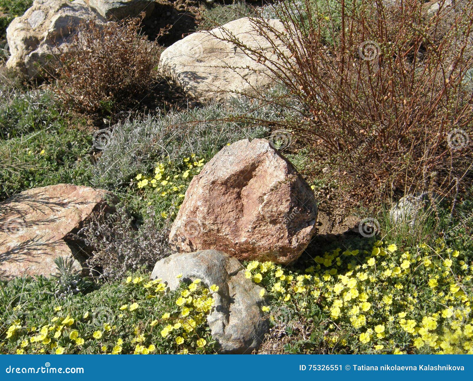 Beautiful Decorative Slide. Stock Image - Image of decorative, hill ...