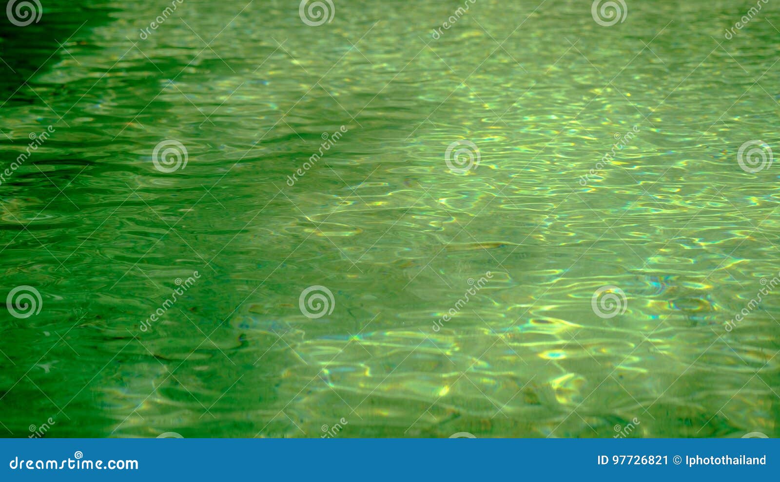 Beautiful Deep Forest Pool. Selective Focus on Water Surface Wit Stock ...