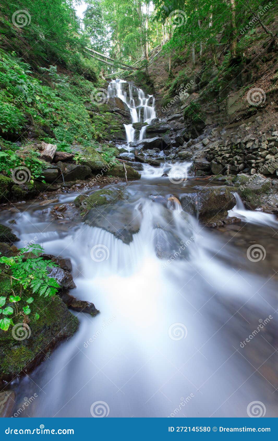 Beautiful Deep Forest Waterfall Stock Photo - Image of landscape, green ...