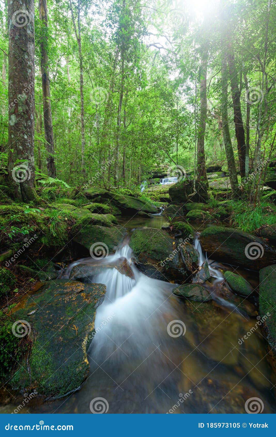 Beautiful Waterfall in Deep Forest Stock Image - Image of leaf, heaven ...
