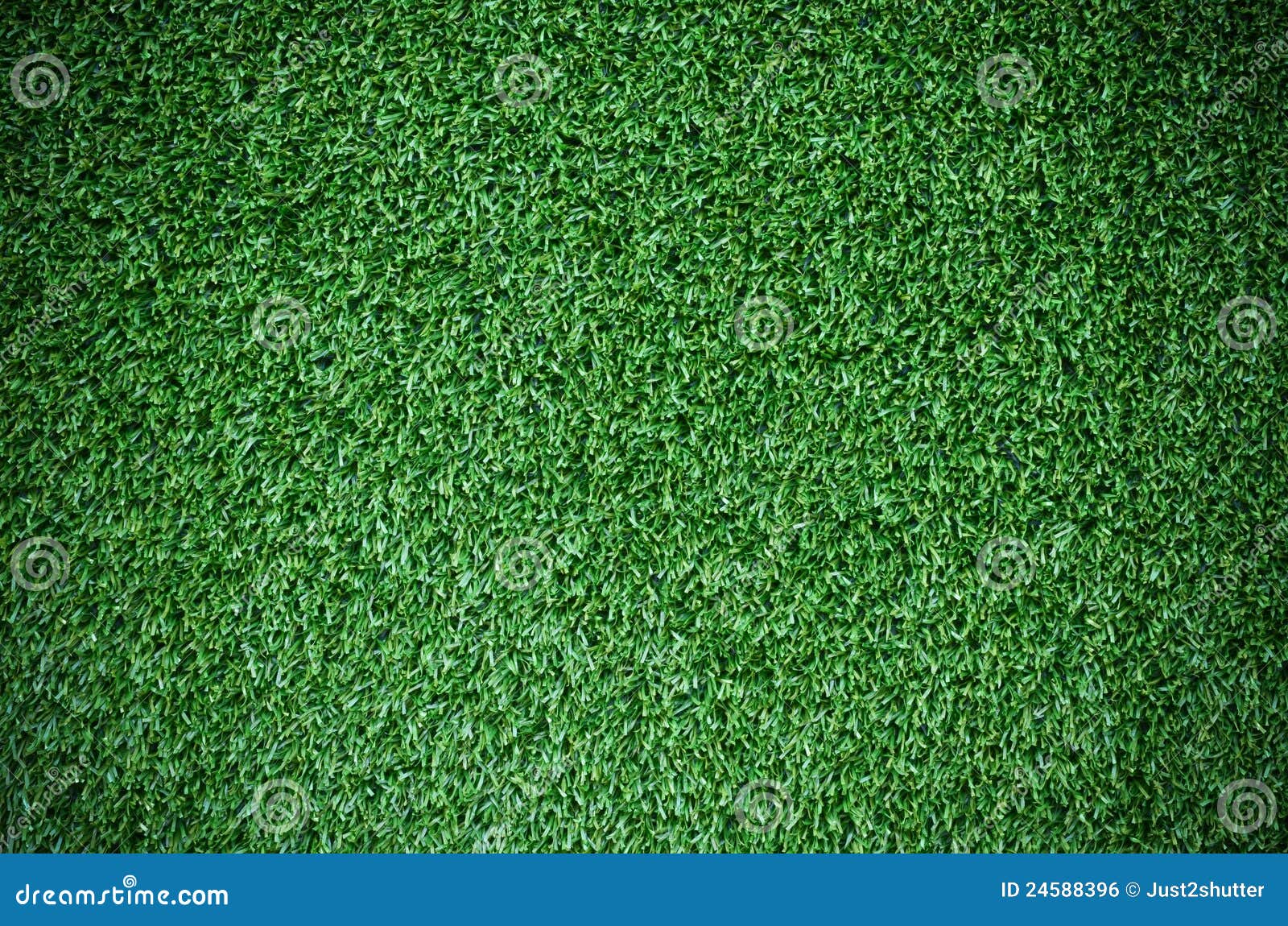 Beautiful deep green grass stock photo. Image of pattern - 24588396