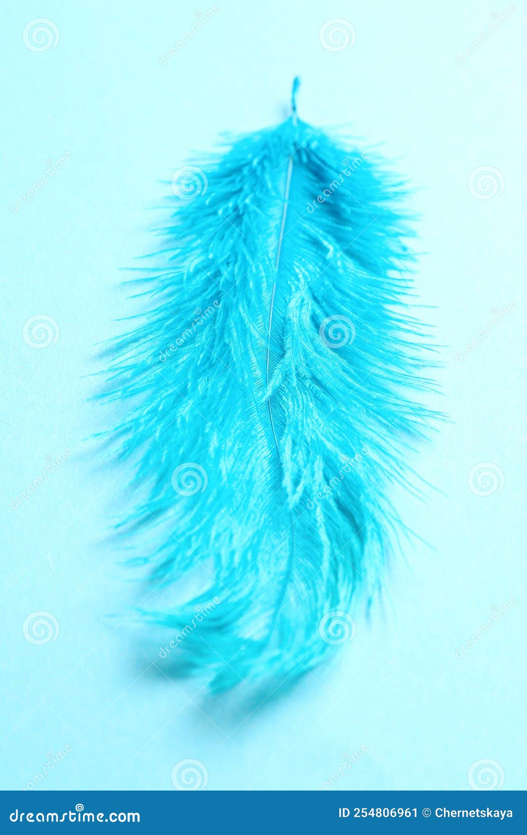 Beautiful Delicate Feather on Light Blue Background, Above View Stock ...