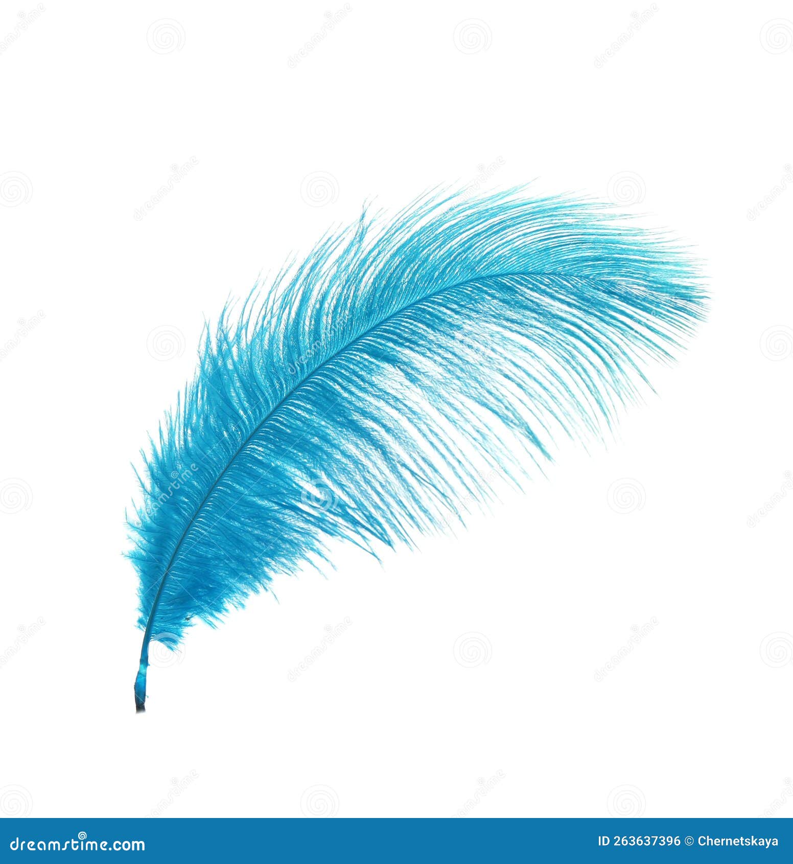 Beautiful Delicate Light Blue Feather Isolated on White Stock Photo ...