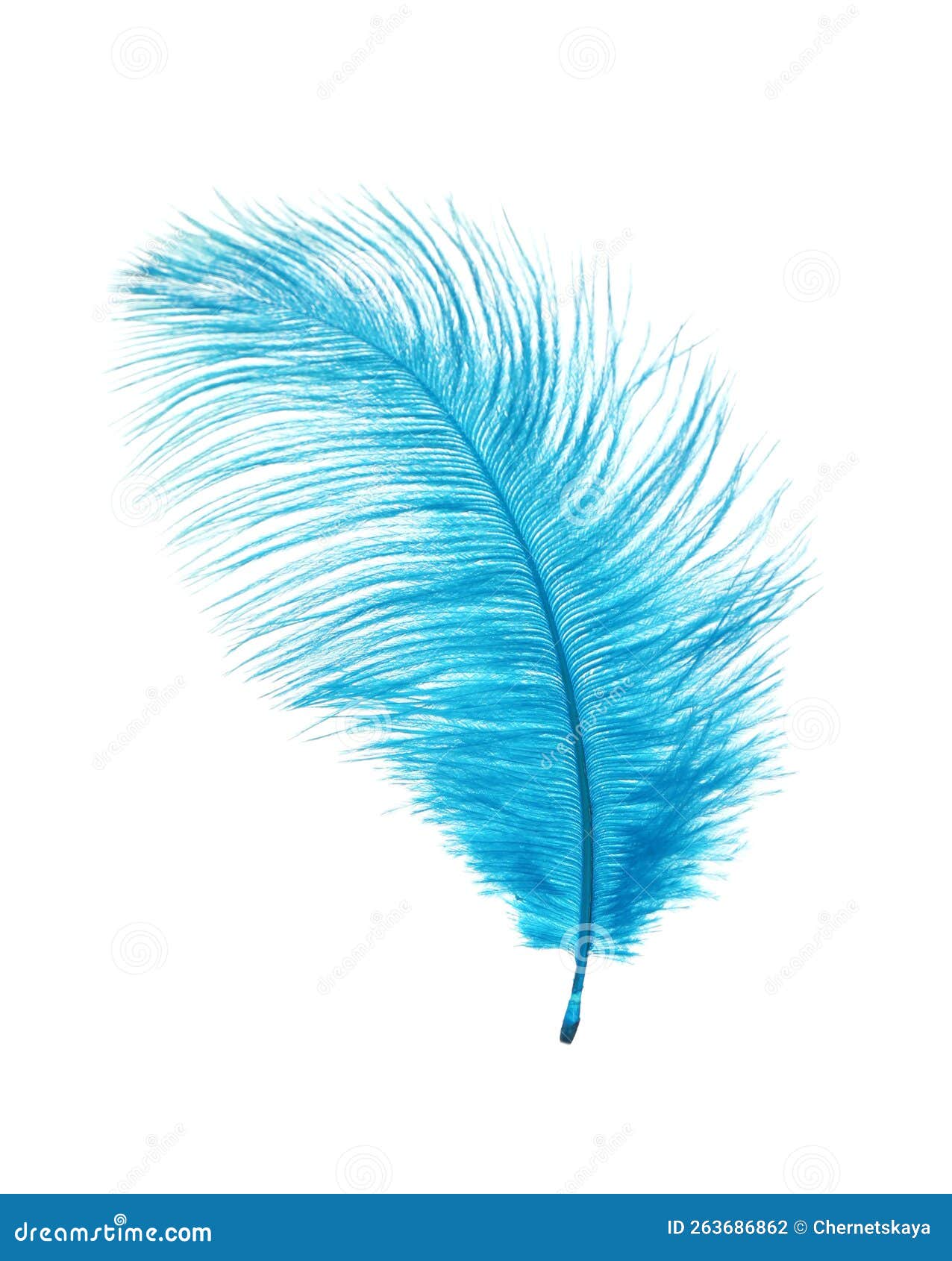 Beautiful Delicate Light Blue Feather Isolated on White Stock Photo ...