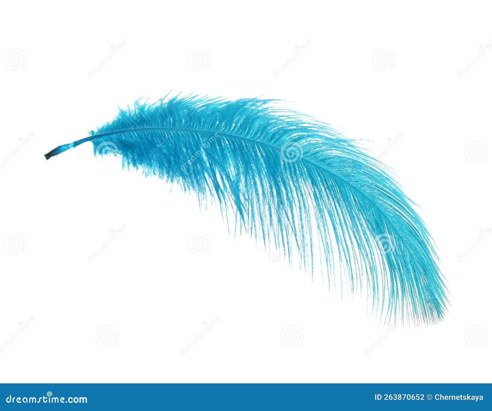 Beautiful Delicate Light Blue Feather Isolated on White Stock Photo ...