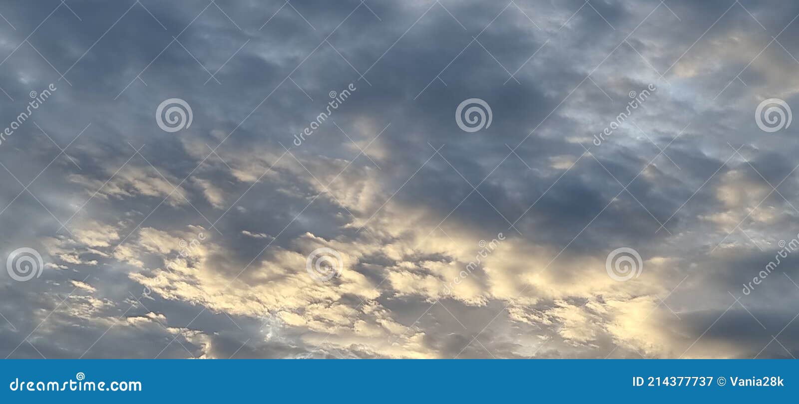 Beautiful Dense Forest, Top View. The Tops Of A Variety Of Trees ...