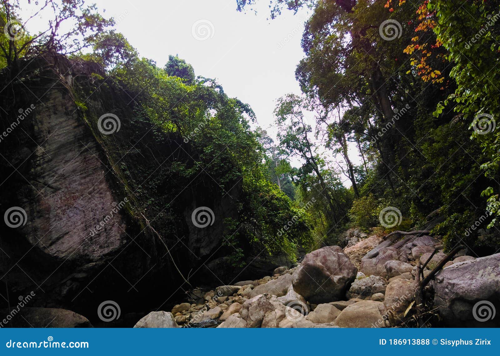 Beautiful Dense Forest Rocks Landscape View Stock Photo - Image of rock ...