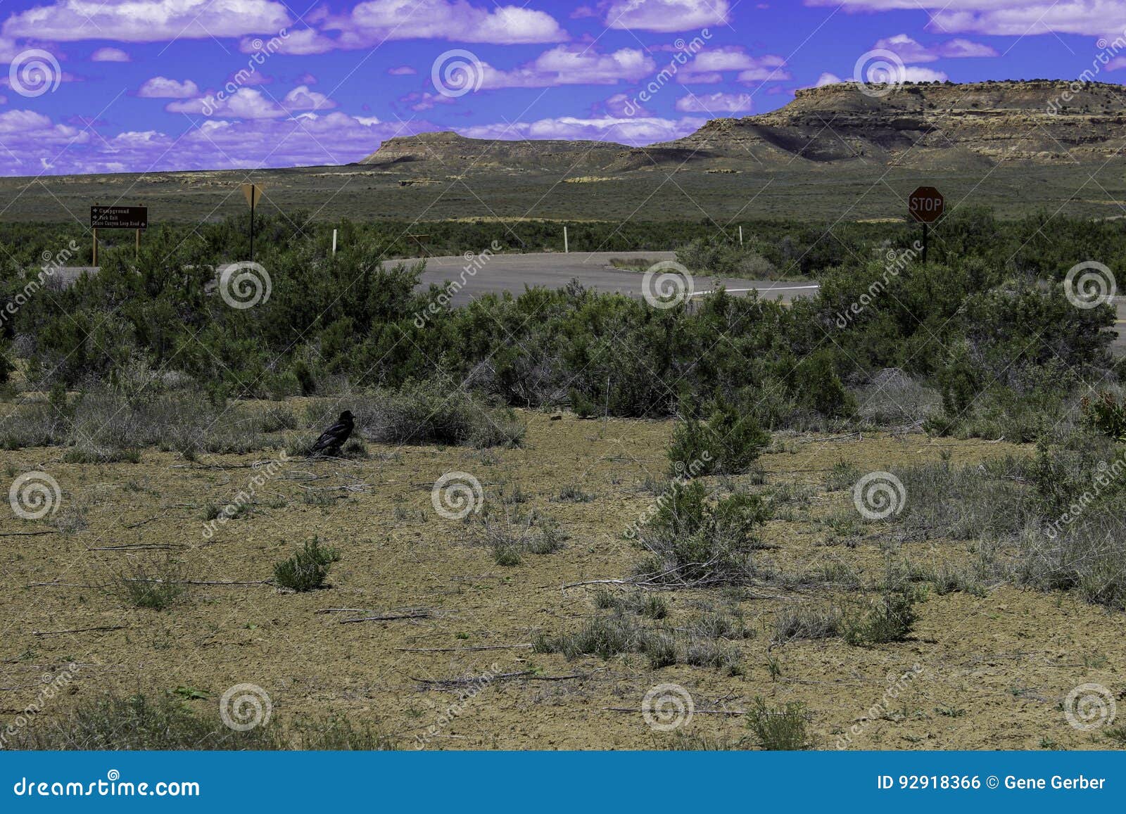 Beautiful Desert Country stock photo. Image of puffy - 92918366