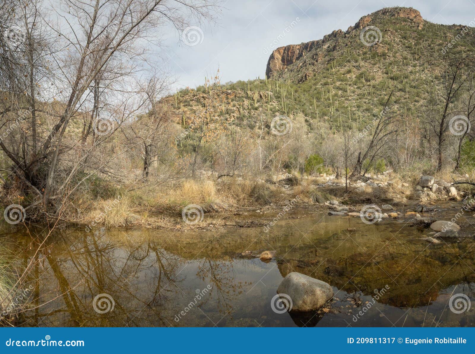 Beautiful Desert Landscape stock image. Image of desert - 209811317