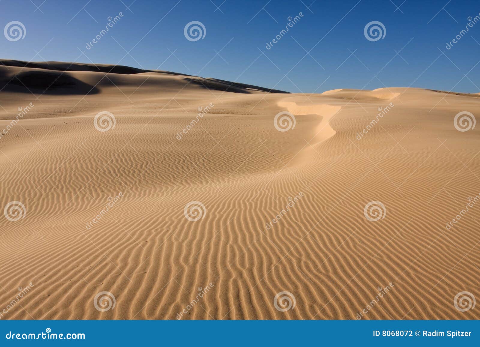 Beautiful desert landscape stock photo. Image of desert - 8068072