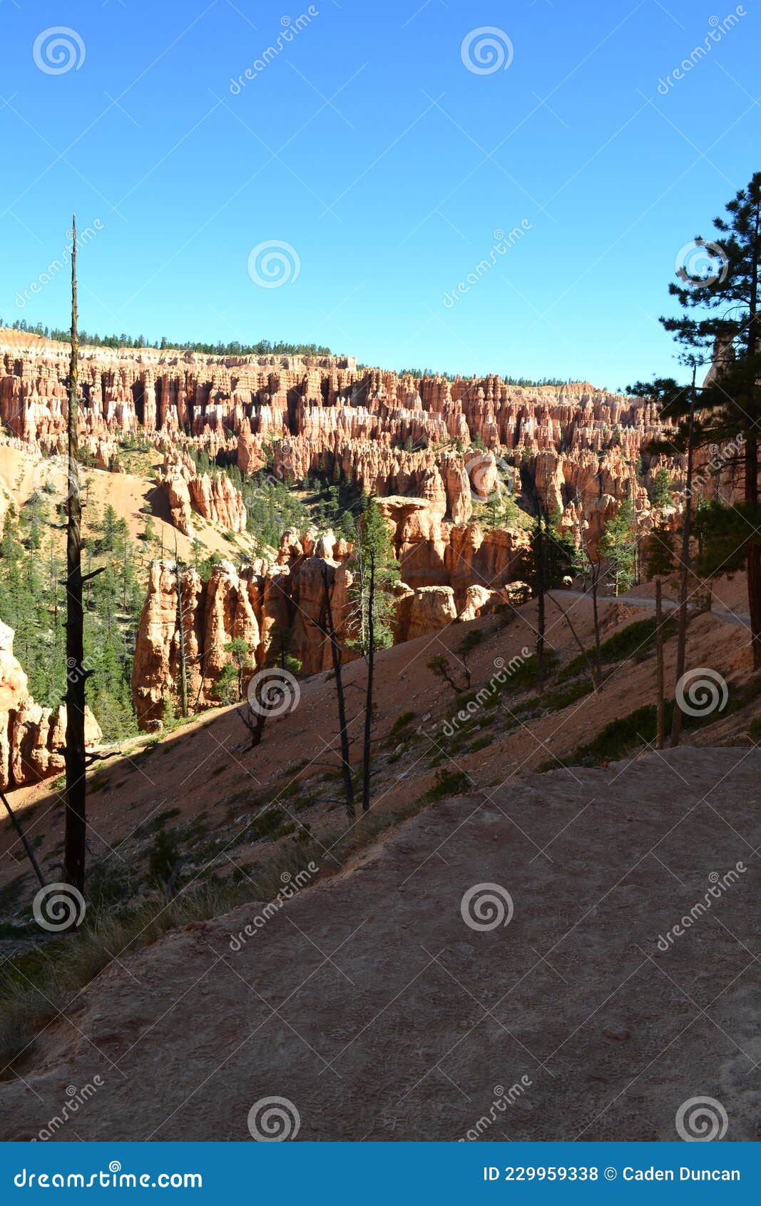 The Rocks of Bryce Canyon Utah Stock Photo - Image of mountain ...