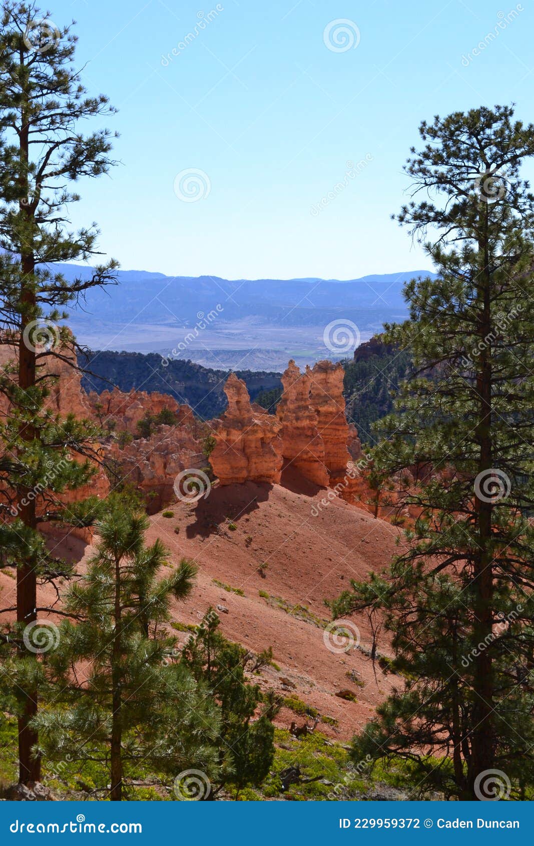 The Rocks of Bryce Canyon Utah Stock Photo - Image of park, wadi: 229959372