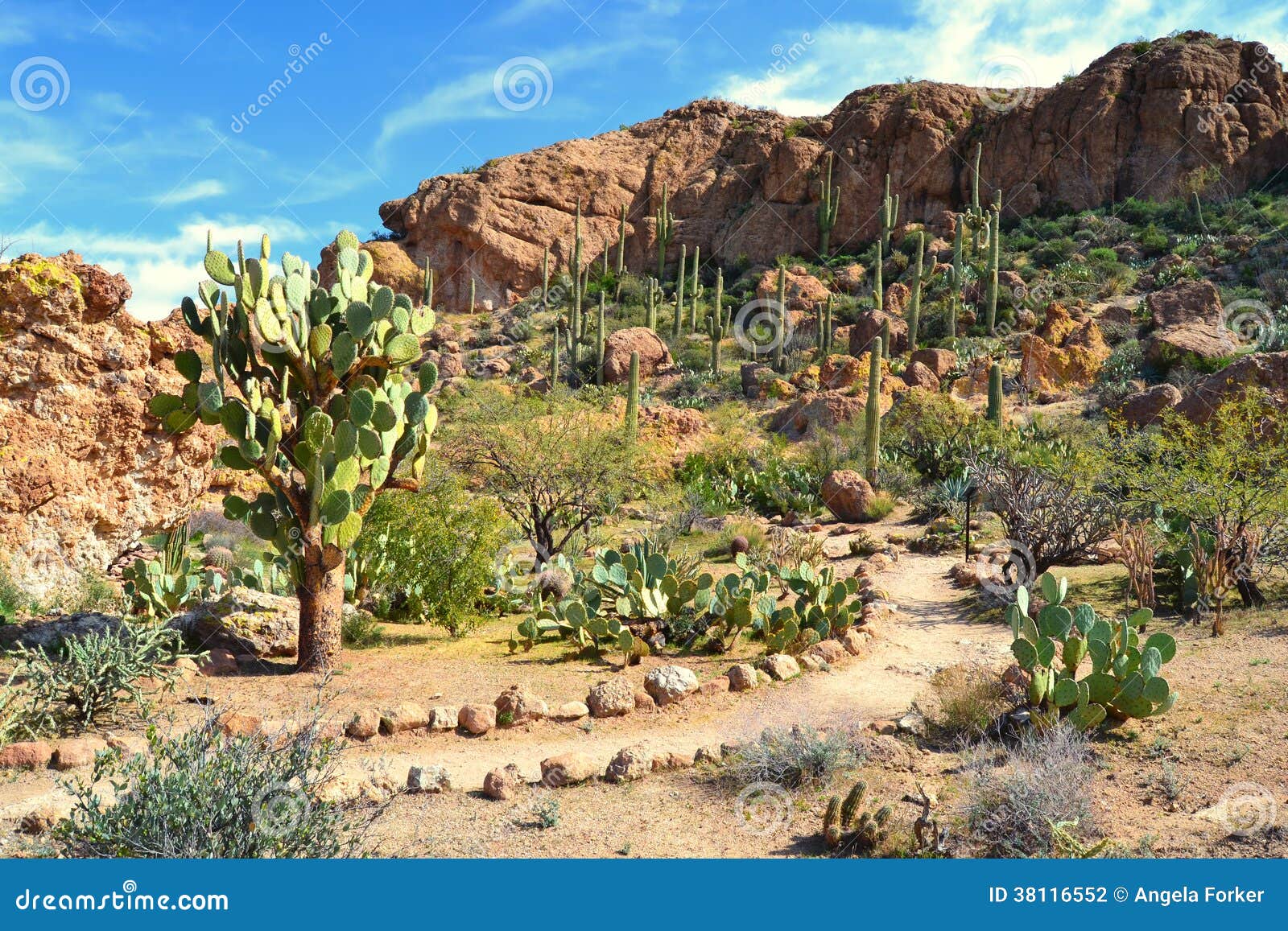 A Beautiful Desert Scene stock photo. Image of desert - 38116552