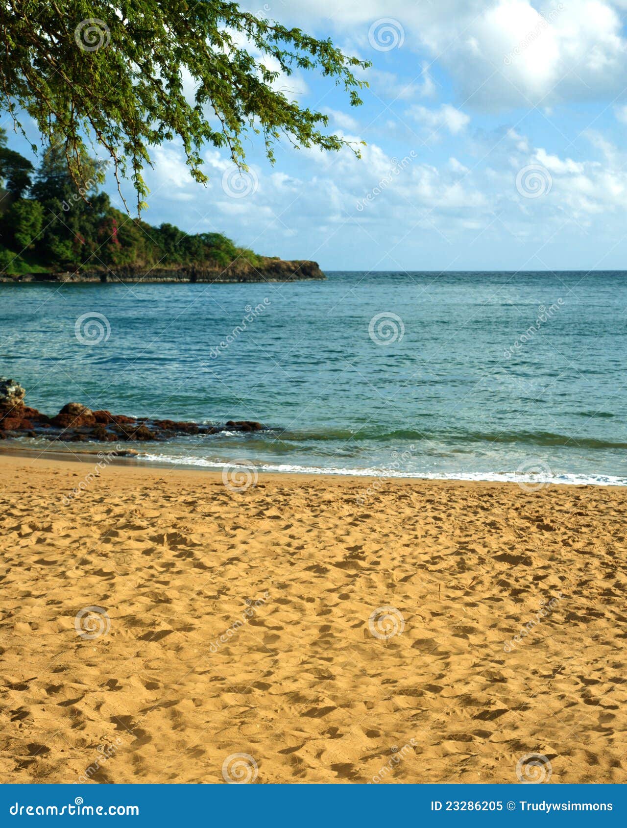 Beautiful, Deserted Beach stock image. Image of nature - 23286205