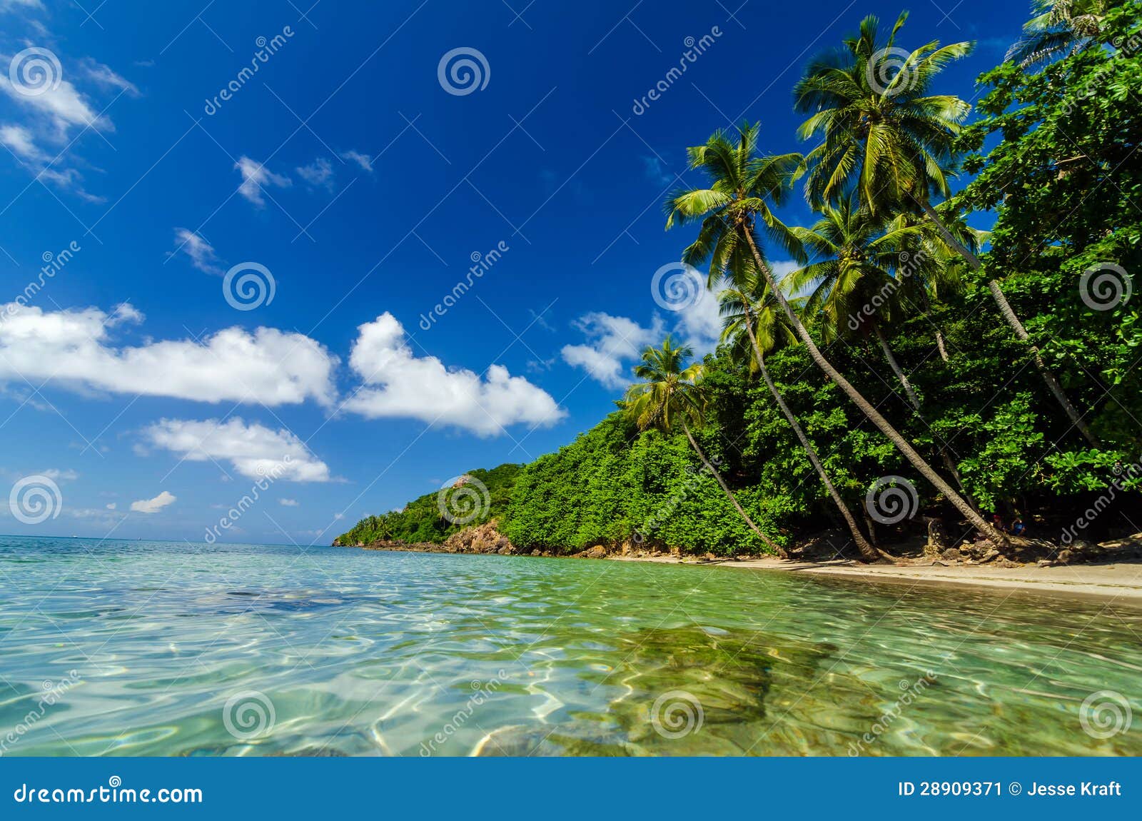 Beautiful Deserted Beach stock image. Image of calm, sand - 28909371