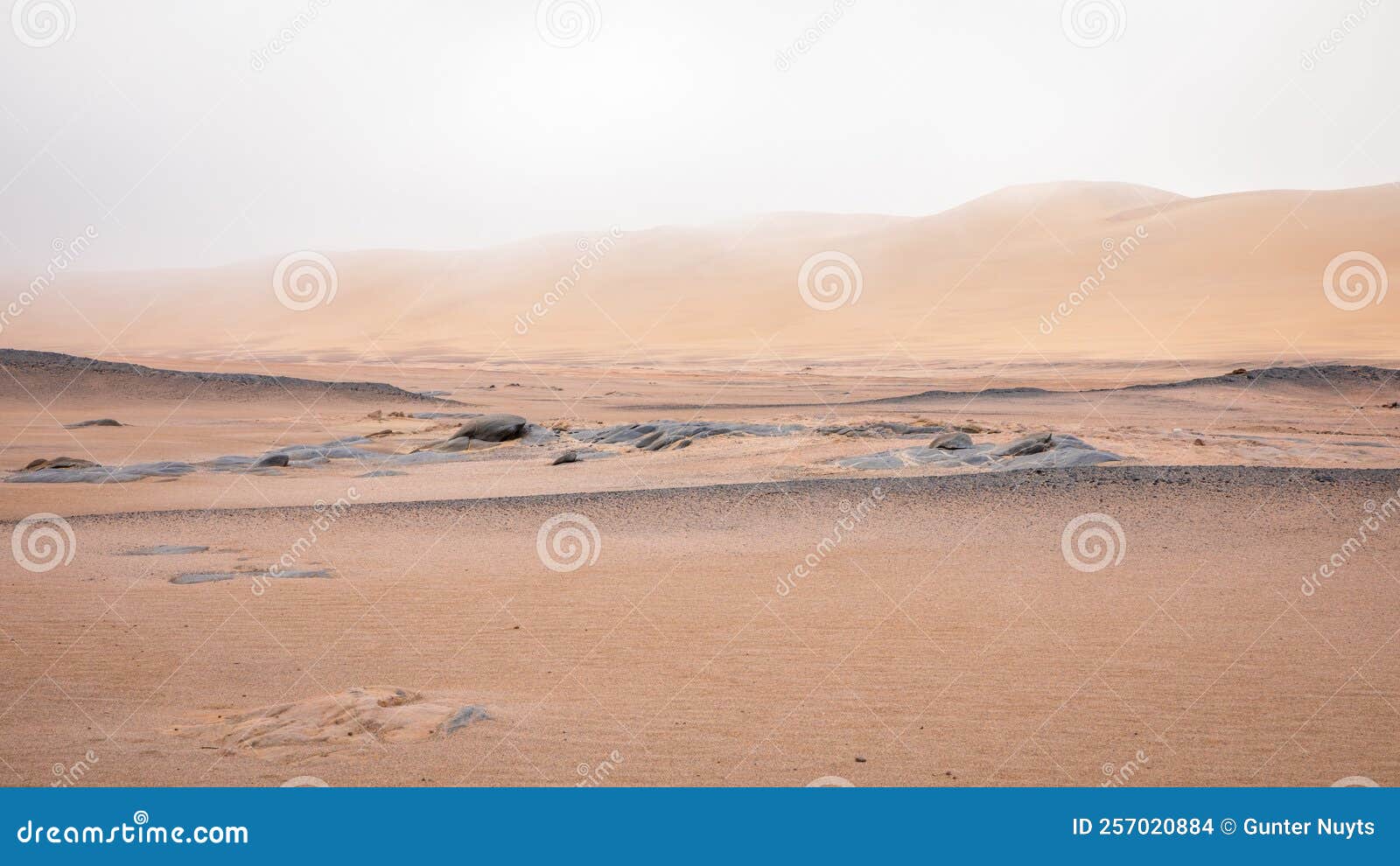 A Beautiful, Desolate Scene at Skeleton Coast, Namibia. Stock Photo ...