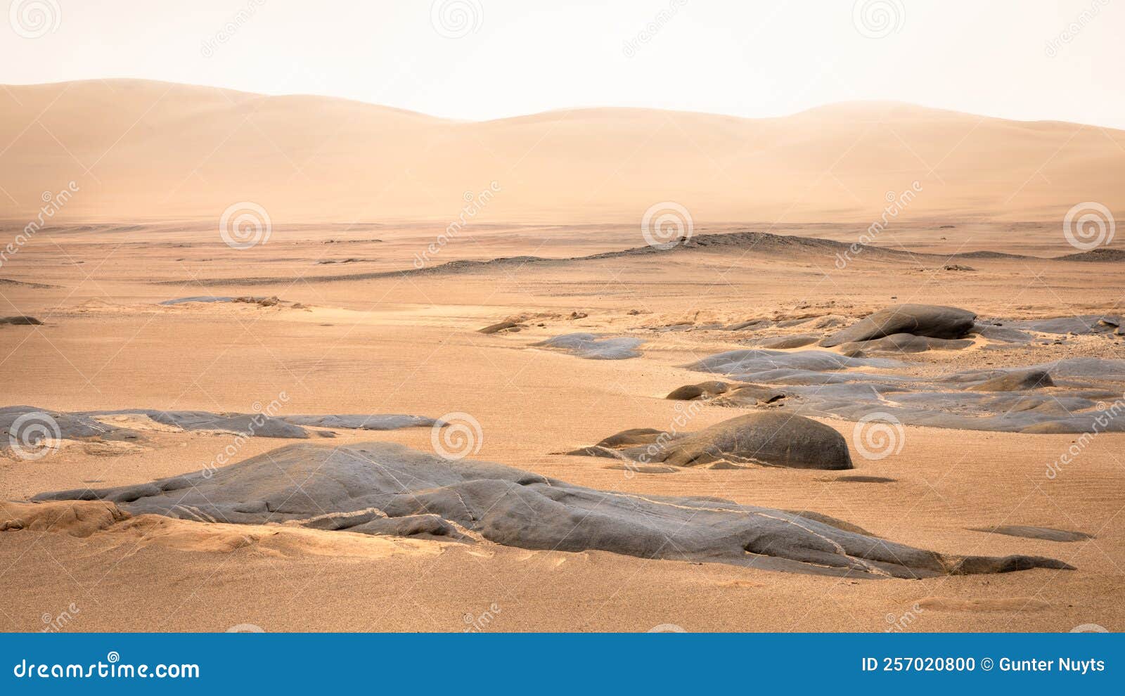 A Beautiful, Desolate Scene at Skeleton Coast, Namibia. Stock Photo ...