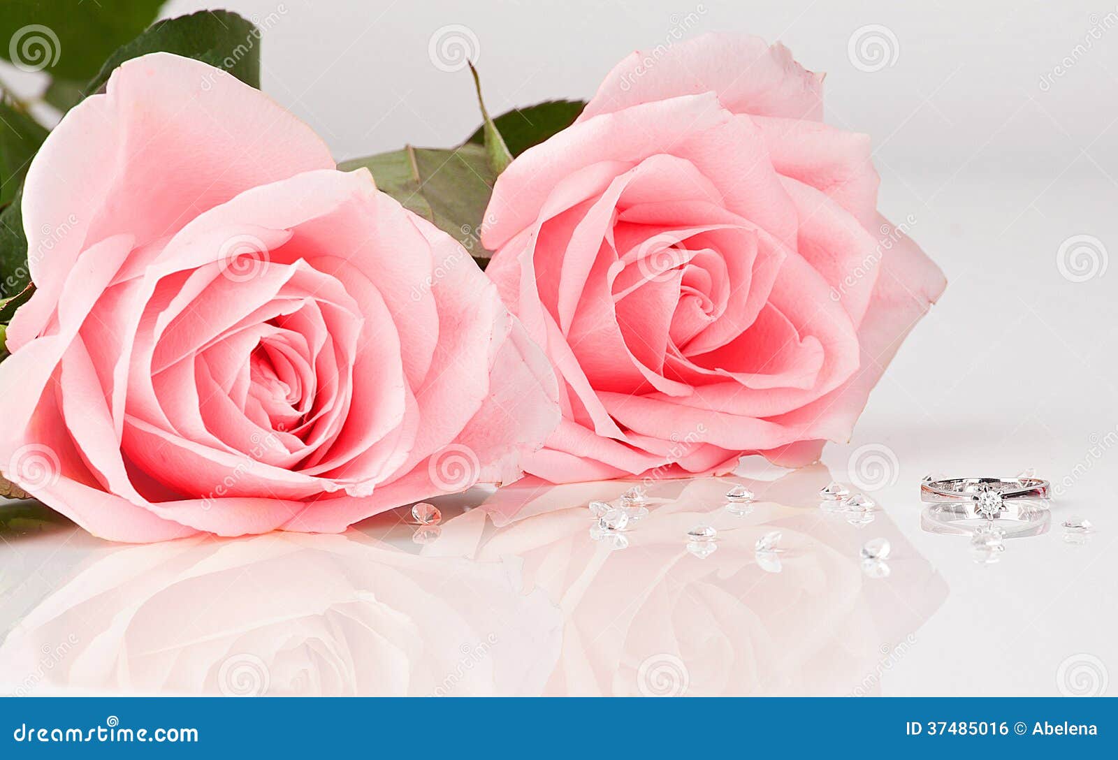 Beautiful Diamond Ring with Pink Roses Stock Photo - Image of expensive ...