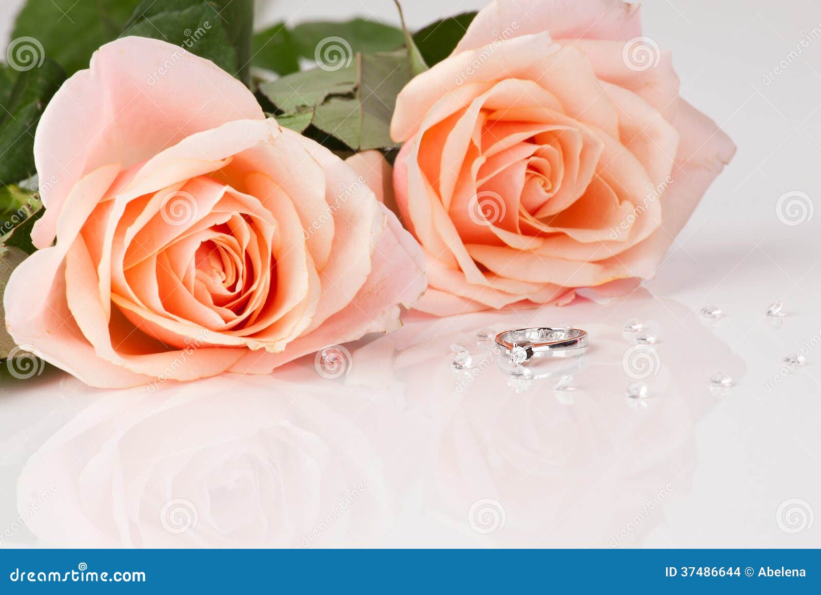 Beautiful Diamond Ring with Pink Roses Stock Photo - Image of ...