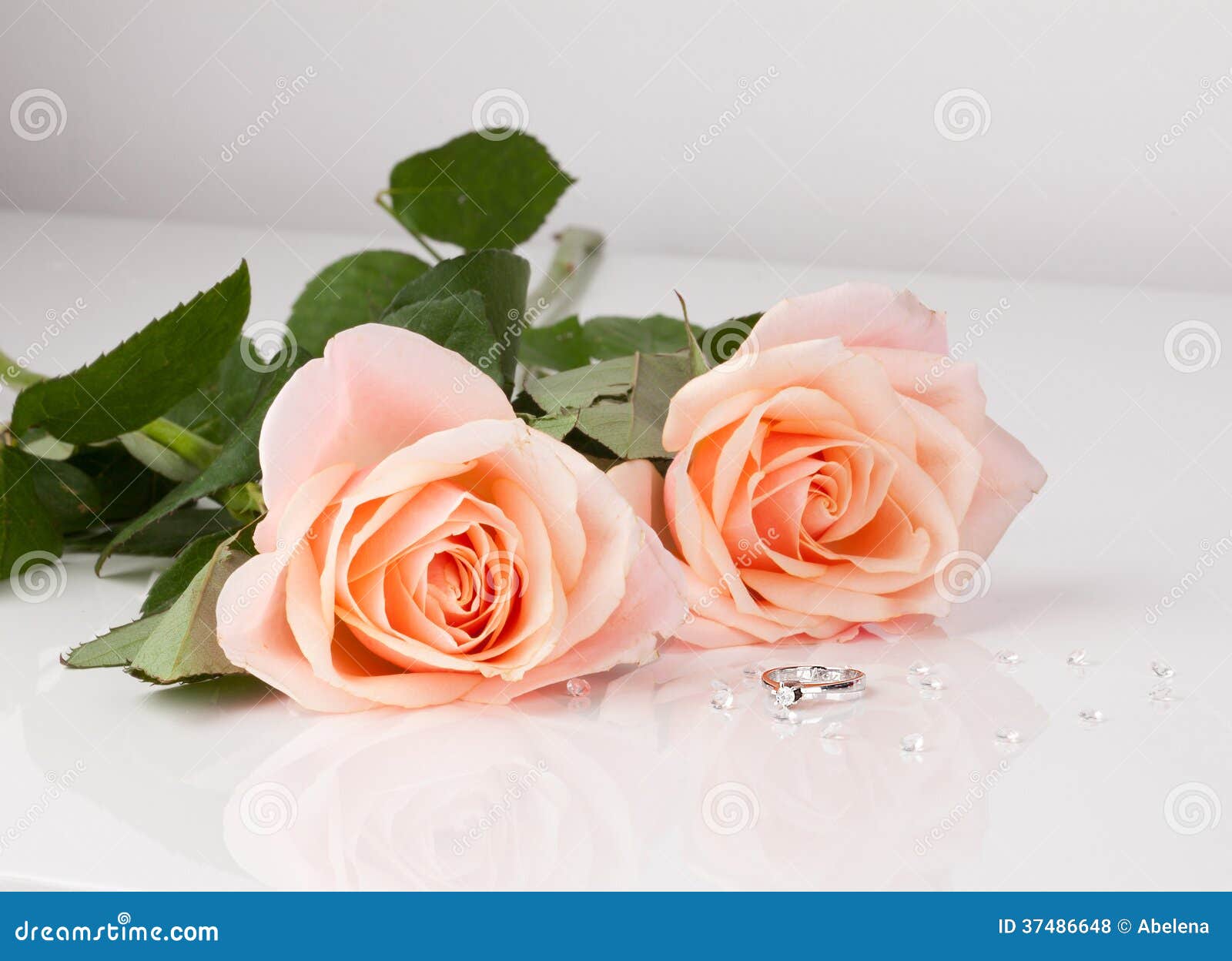 Beautiful Diamond Ring with Pink Roses Stock Photo - Image of circle ...