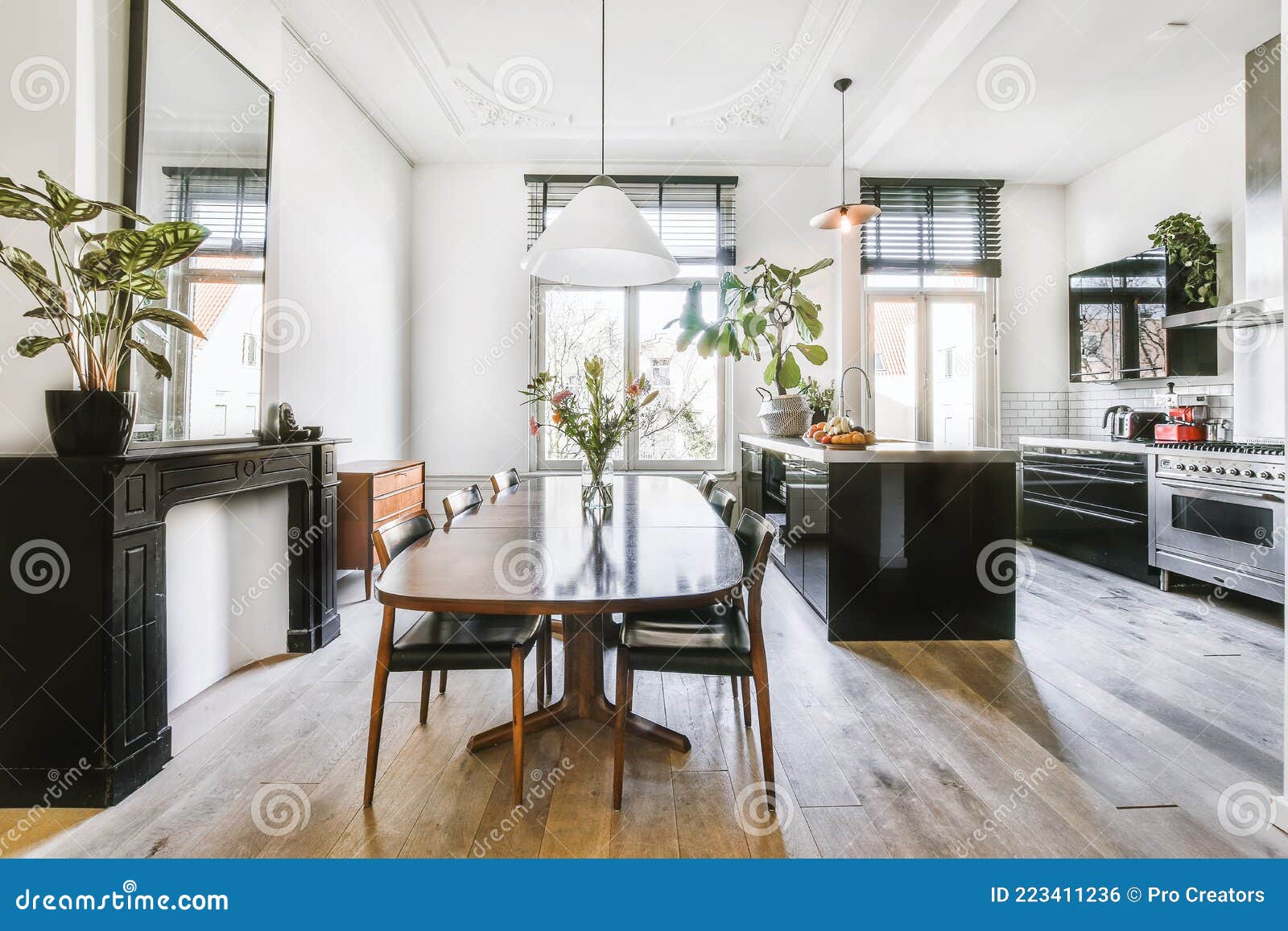Beautiful dining room stock photo. Image of inside, house - 223411236