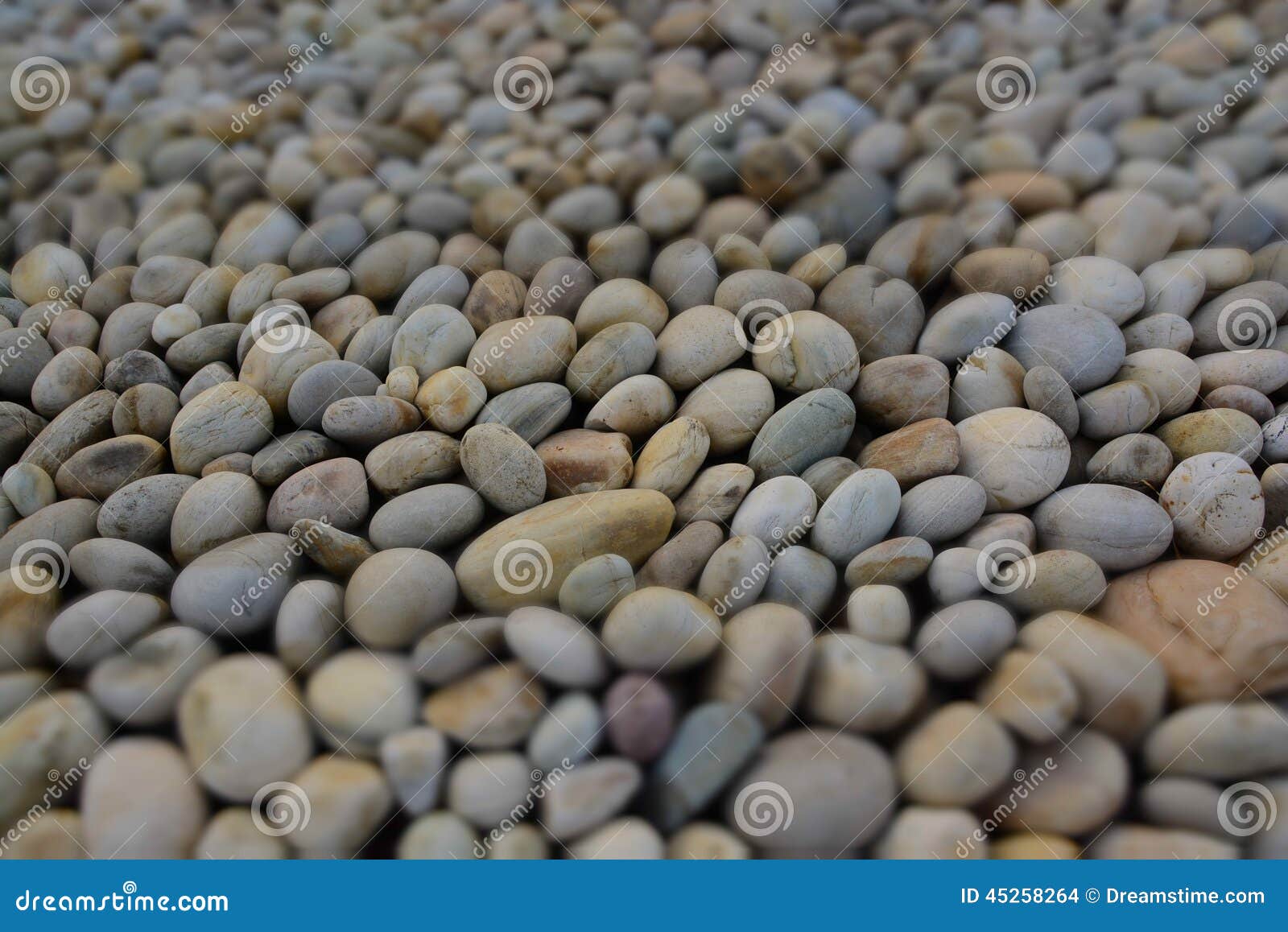 Beautiful Diverse Riverside Pebbles Stock Photo - Image of lying, look ...