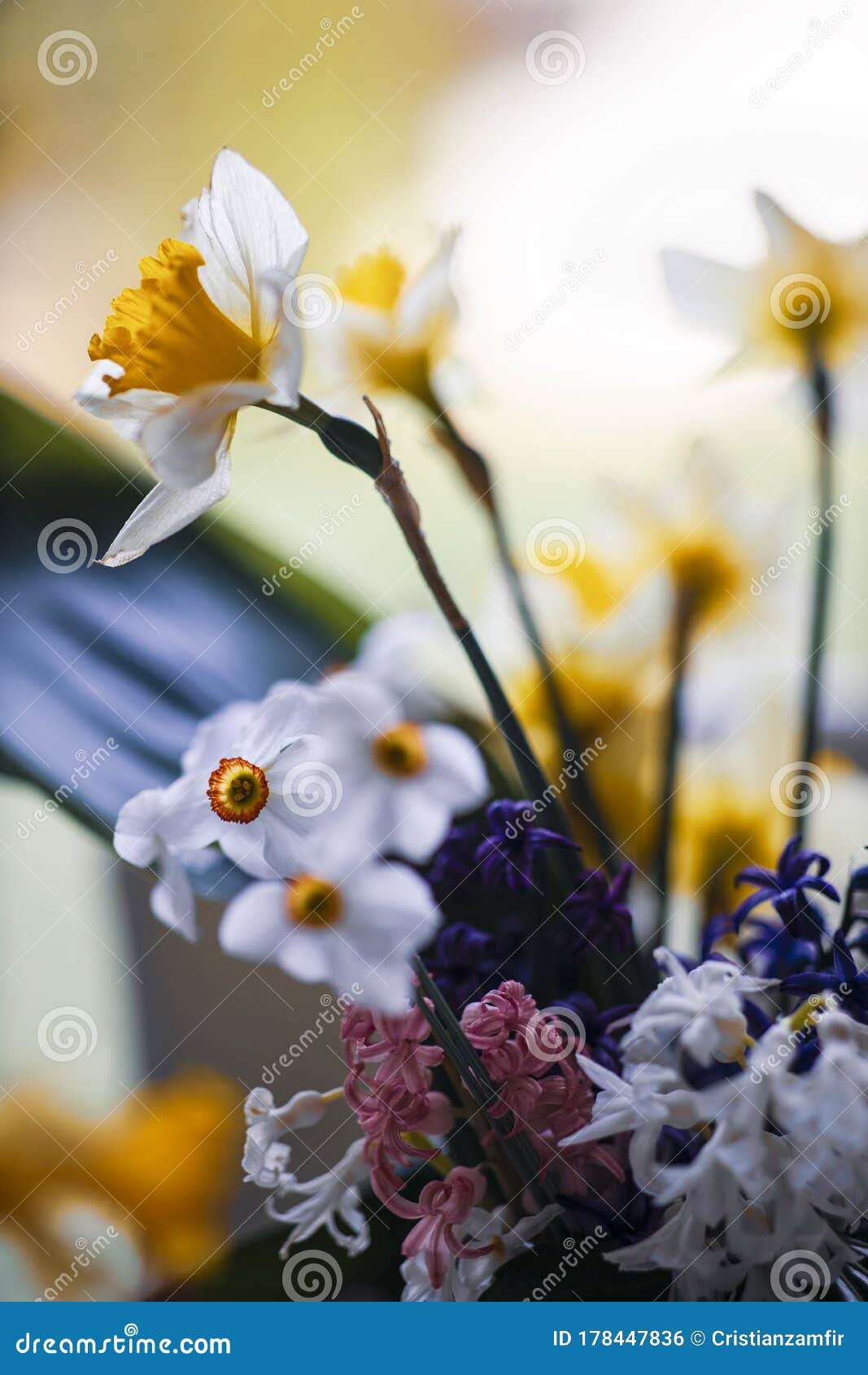 Diversity of Spring Flowers Stock Photo - Image of anniversary, closeup ...