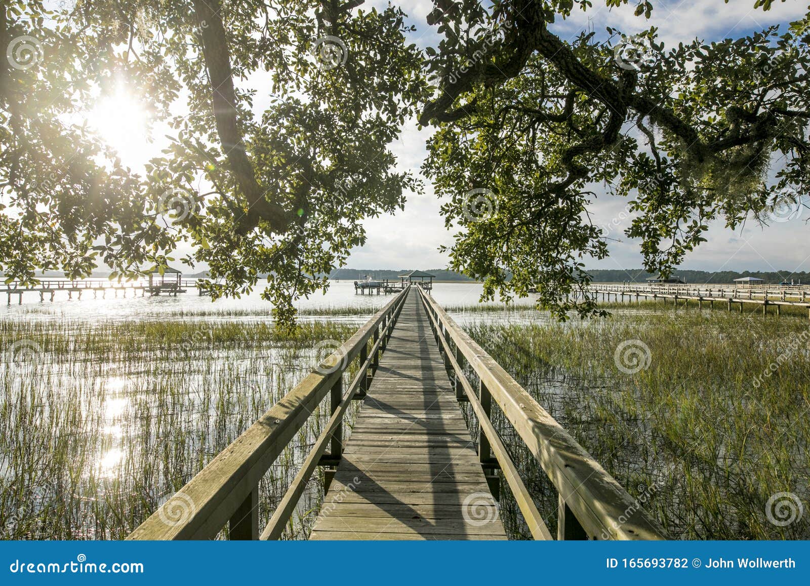 Beautiful Dock with Overhanging Trees Going To Onto Water at Sunset ...