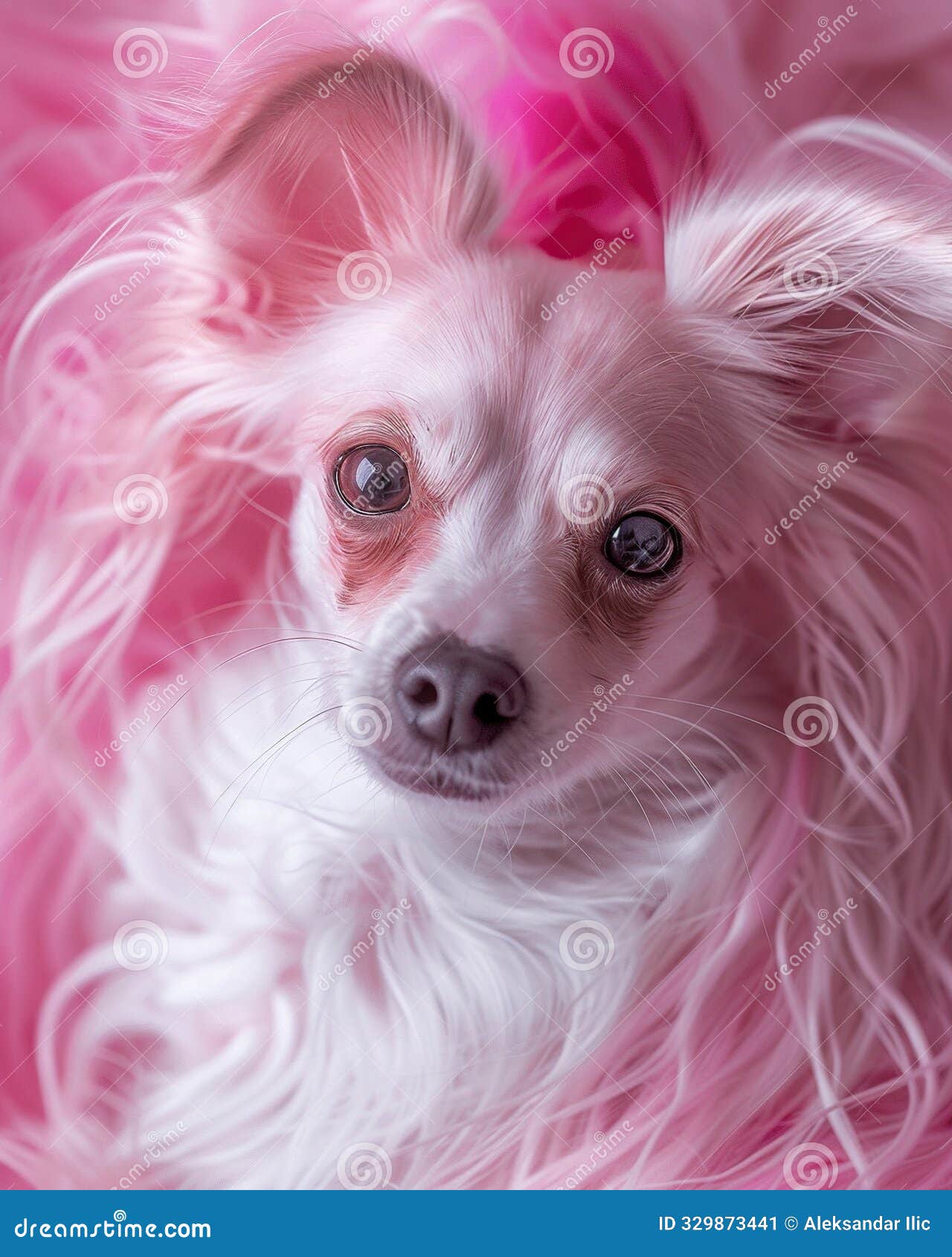 Beautiful Dog Portrait Closeup. Ai Generative Stock Image - Image of ...