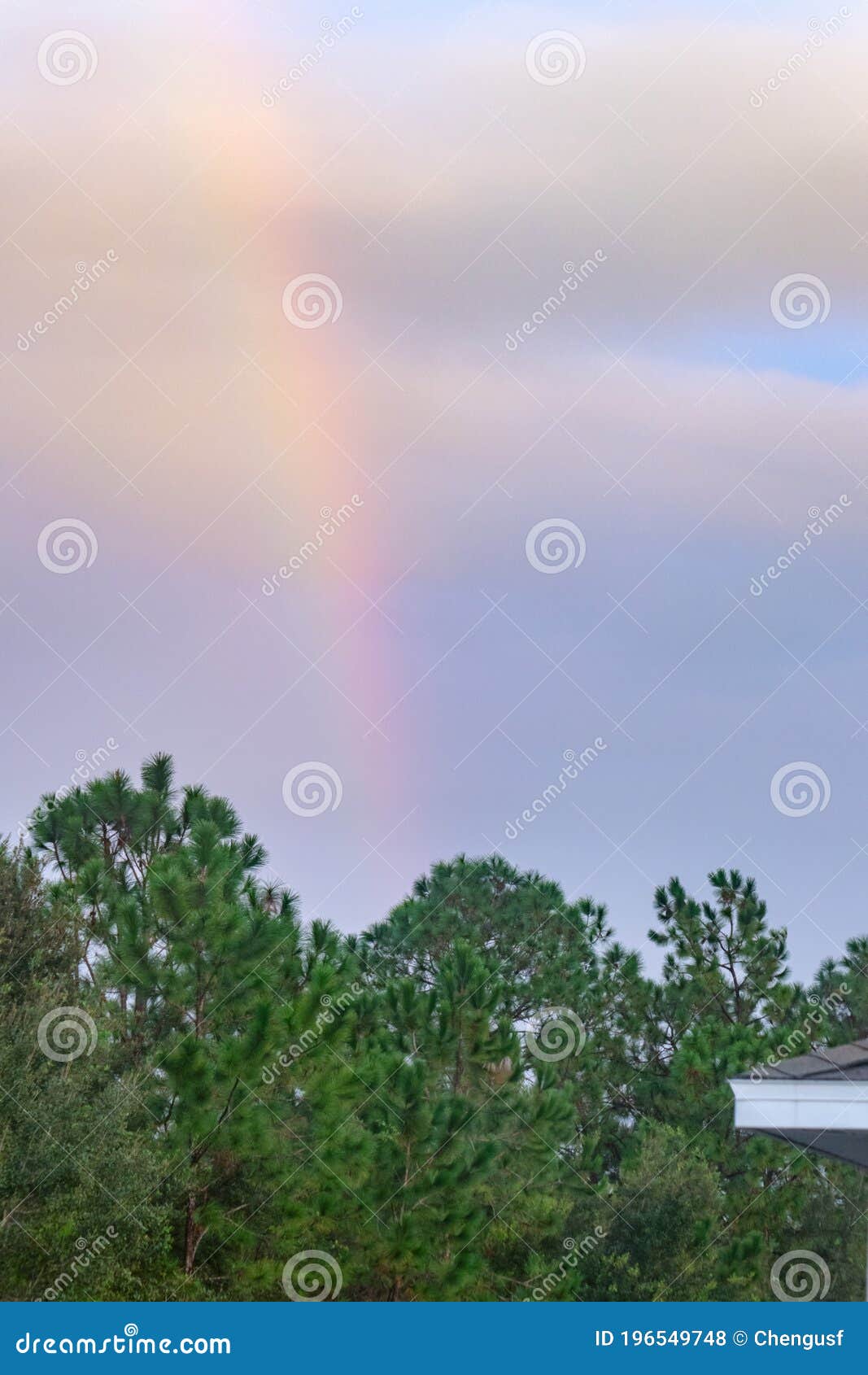 Beautiful double rainbow stock photo. Image of ocean - 196549748