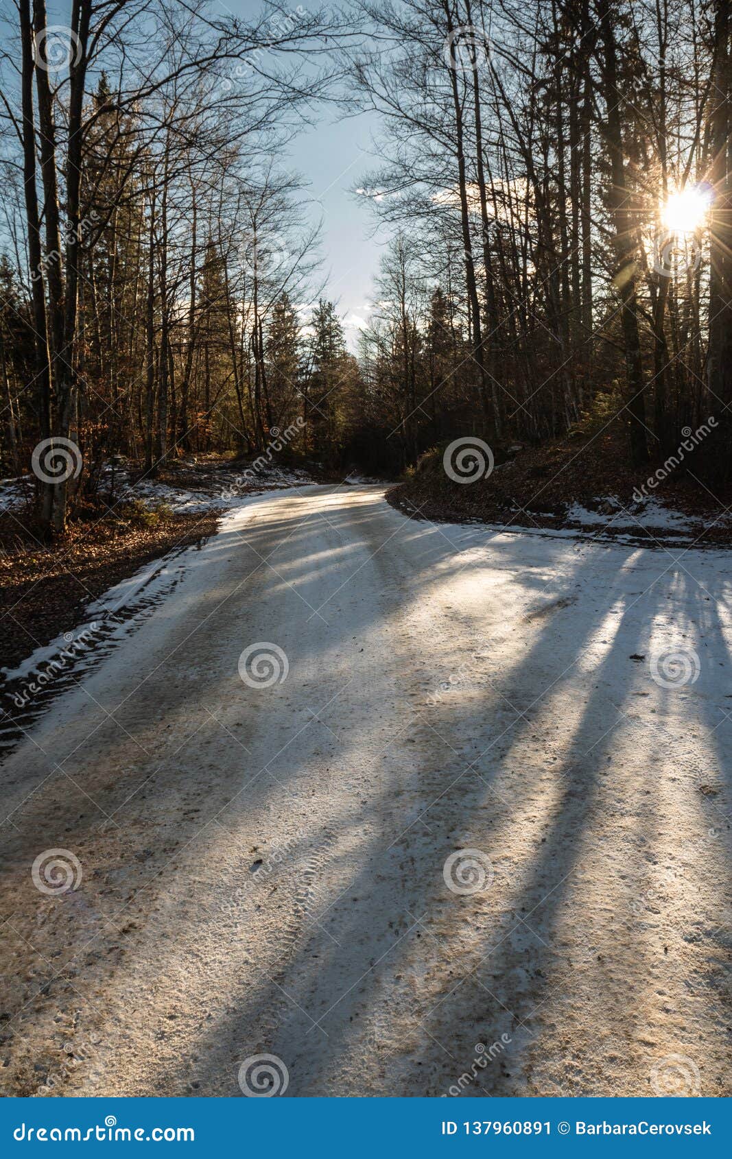 Beautiful Dramatic Empty Forest Road Path with Direct Back Light and ...