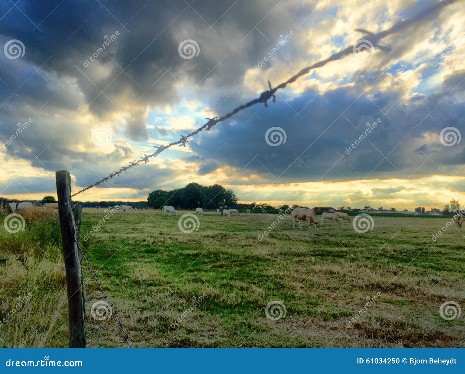 Beautiful Dramatic Sunset Over a Field Stock Photo - Image of colorful ...