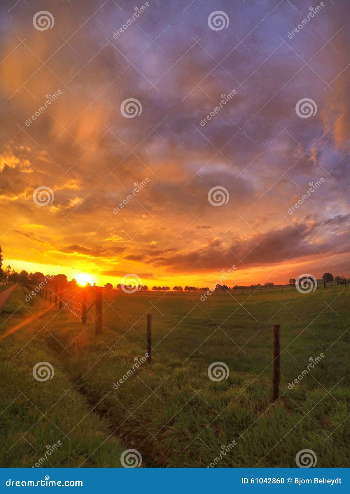 Beautiful Dramatic Sunset Over a Field Stock Photo - Image of concept ...