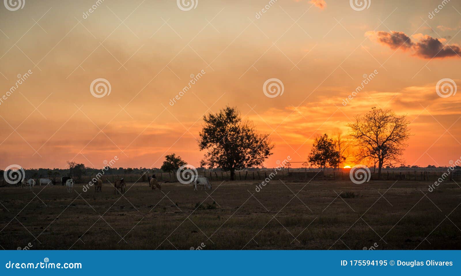 Beautiful and Dramatic Sunset on the Plain Stock Image - Image of ...