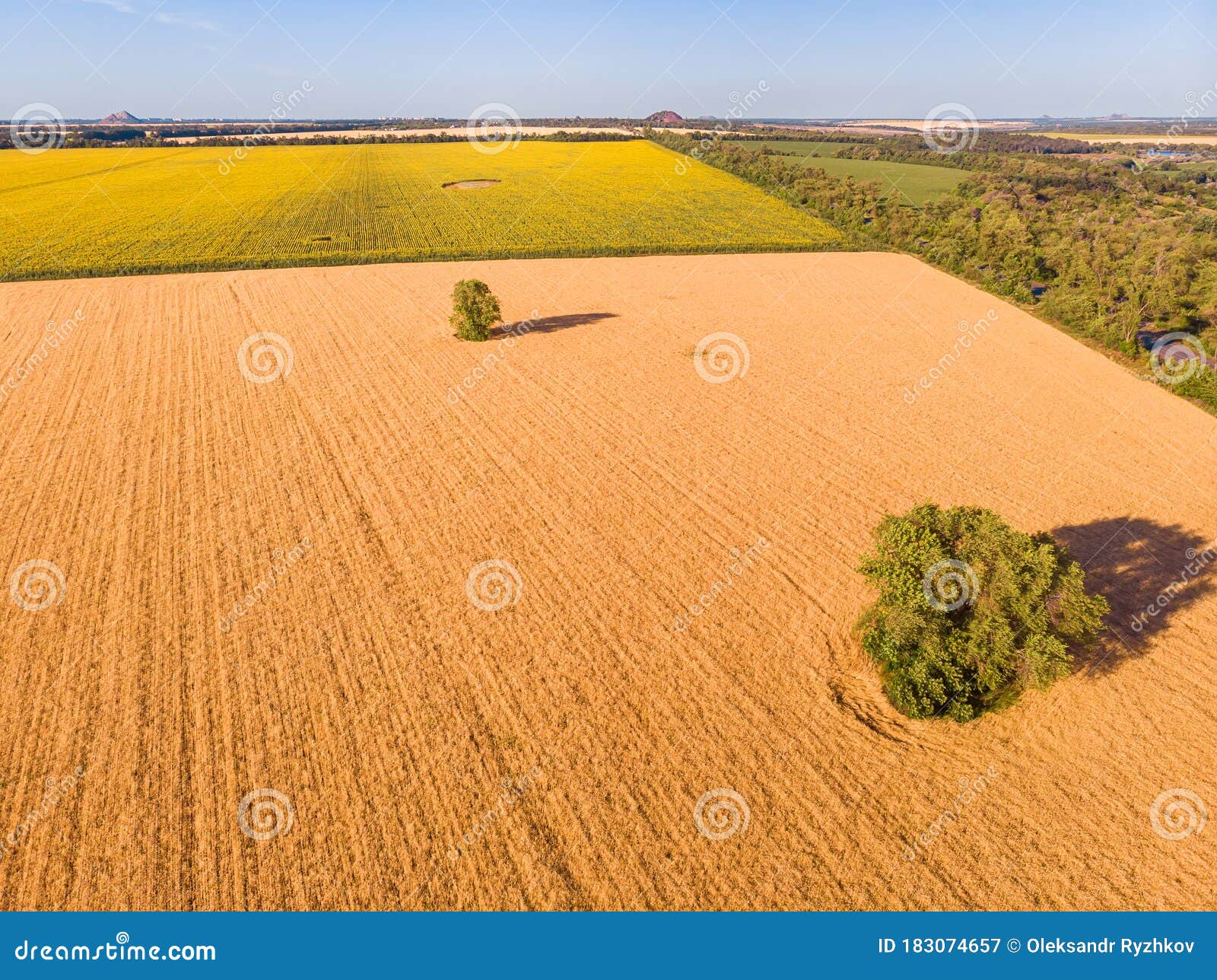 Beautiful Drone View from Above on the Border between Two Fields Stock ...