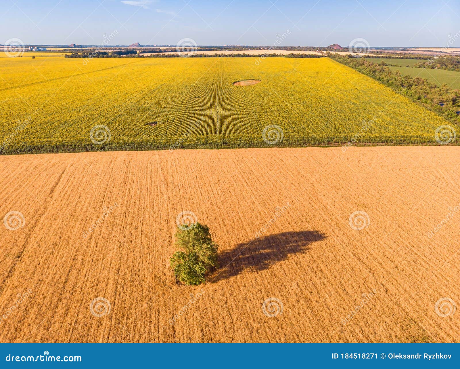 Beautiful Drone View from Above on the Border between Two Fields Stock ...