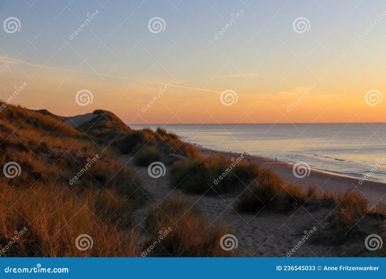 Beautiful Dune Landscape in the Evening on Sylt Stock Image - Image of ...