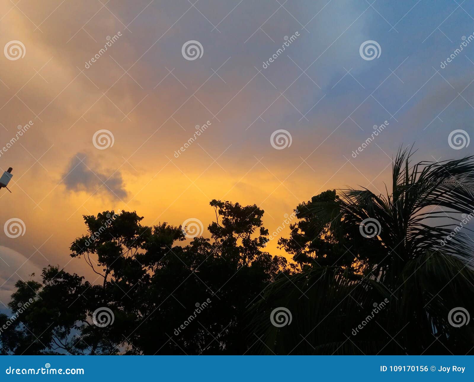 Beautiful Dusk Sky with Trees Stock Photo - Image of trees, duskclouds ...