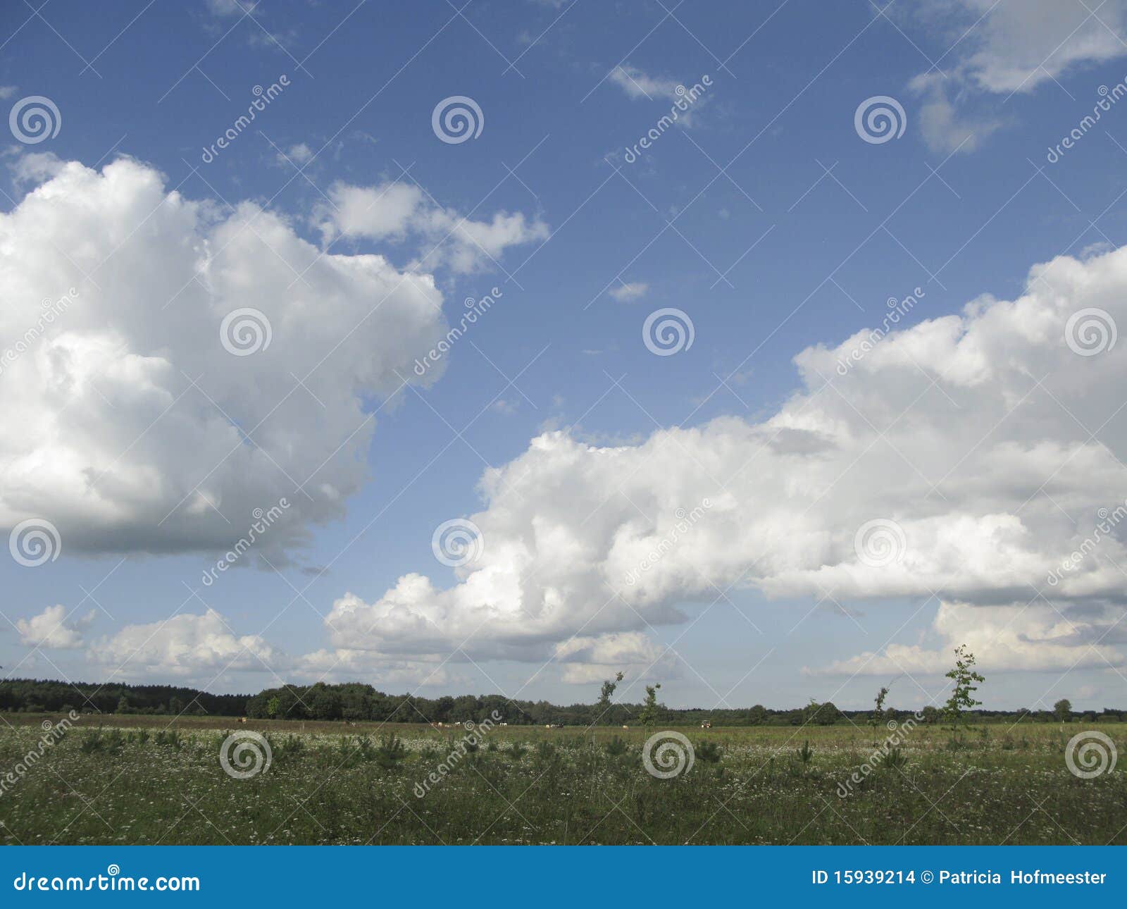 Beautiful Dutch clouds stock photo. Image of ruysdael - 15939214