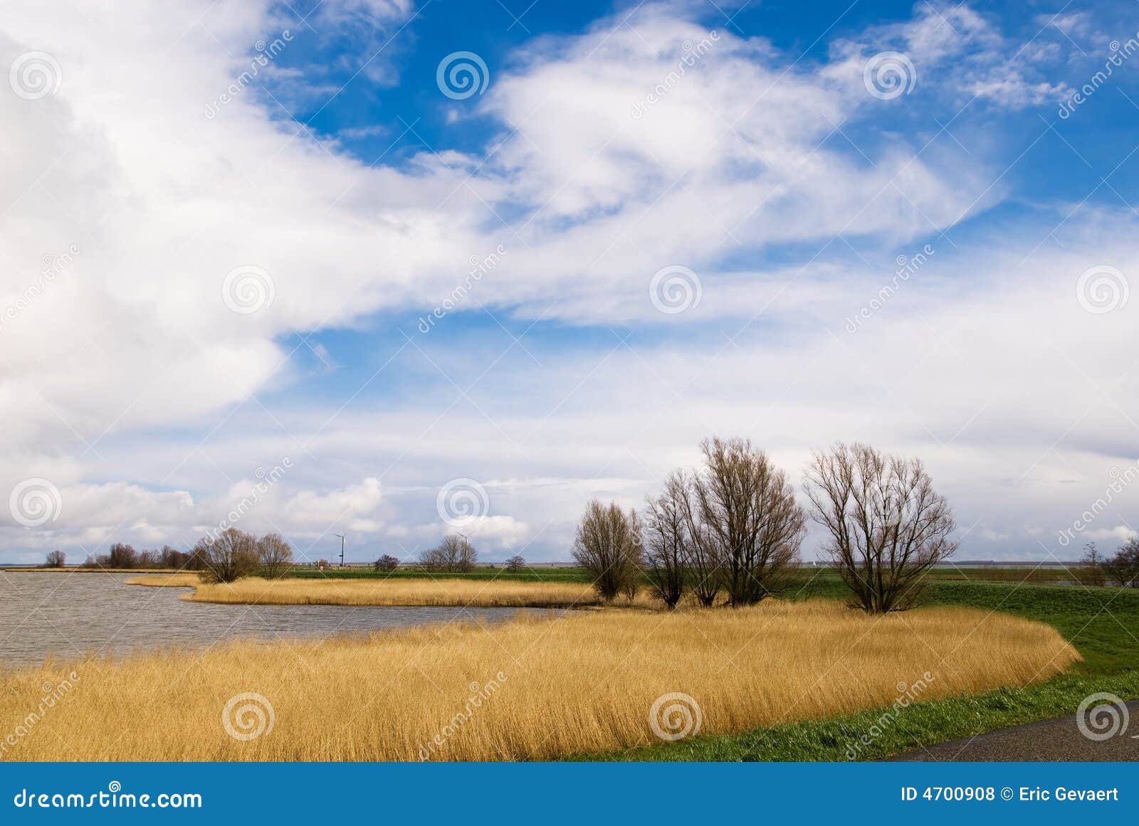 Beautiful dutch landscape stock photo. Image of countryside - 4700908