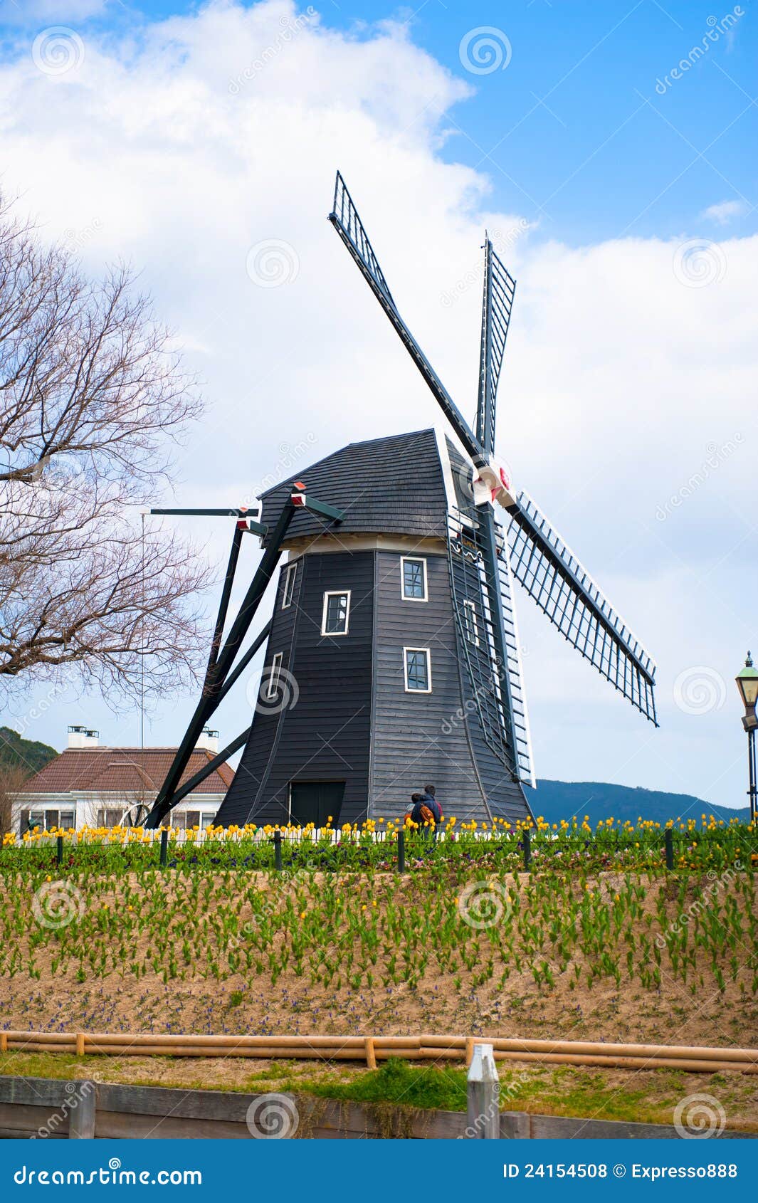 Beautiful Dutch Windmill Typical Landscape in Ja Stock Photo - Image of ...
