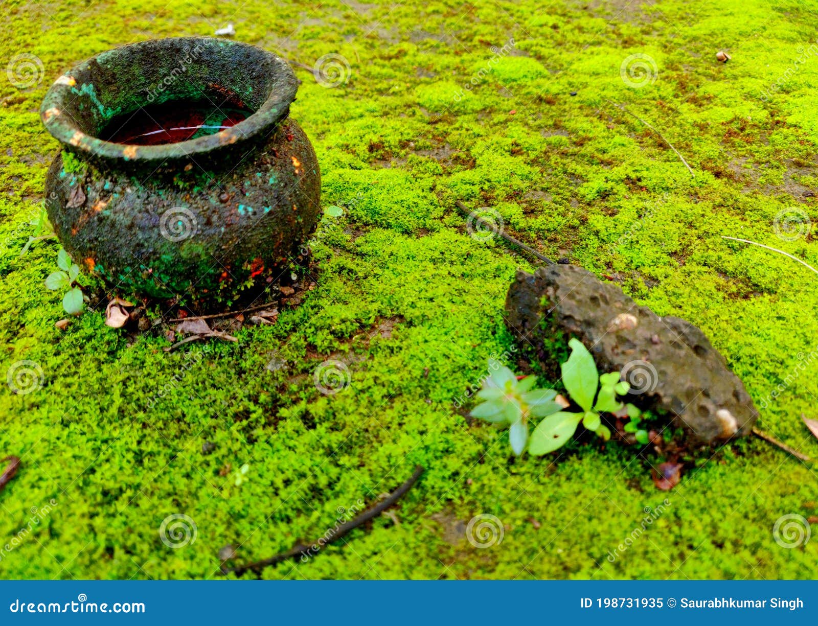 Beautiful Earthen Pot with Half Full or Half Empty Water with Stone on ...