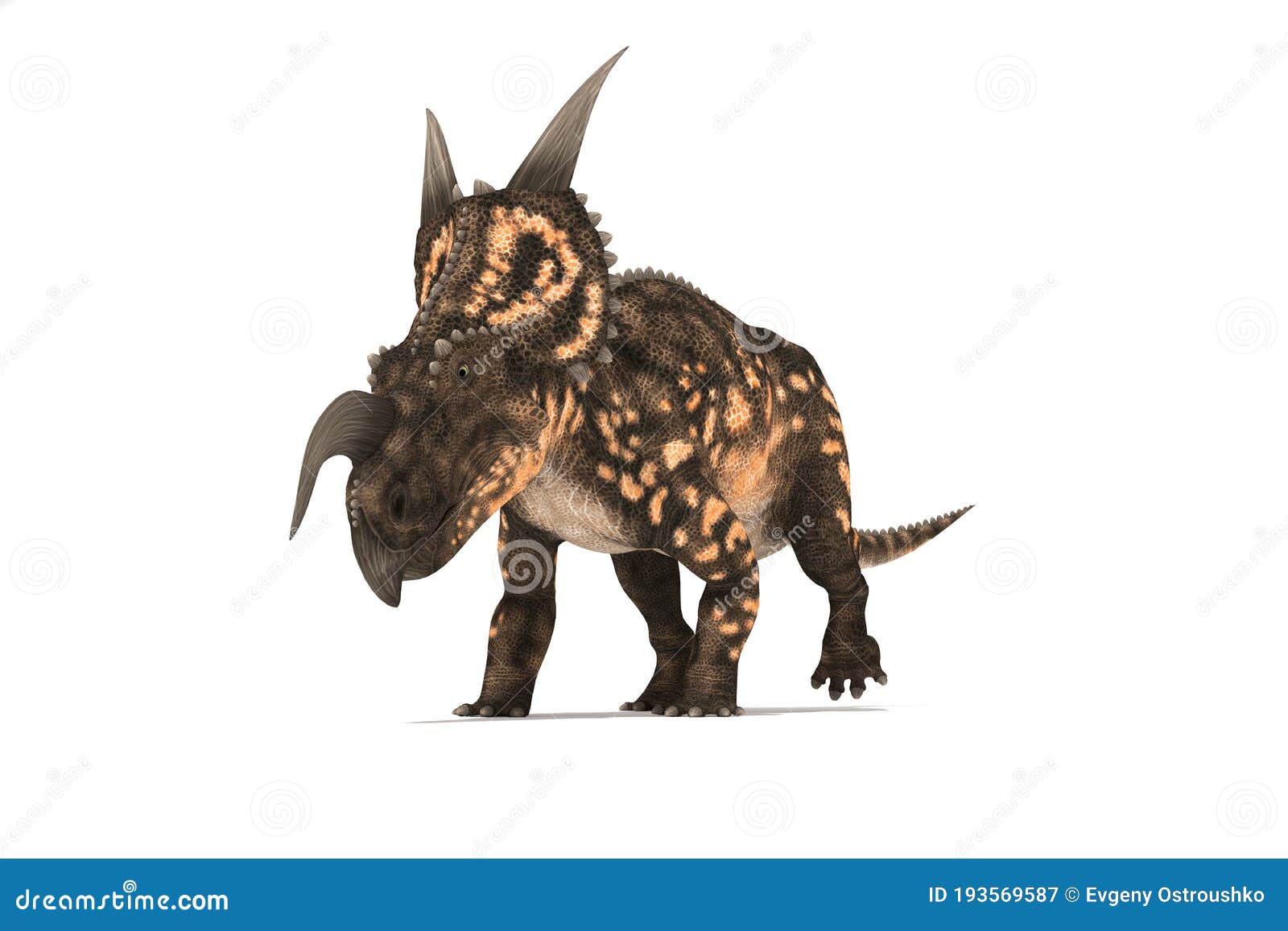 Einiosaurus Series Stock Illustrations – 8 Einiosaurus Series Stock ...