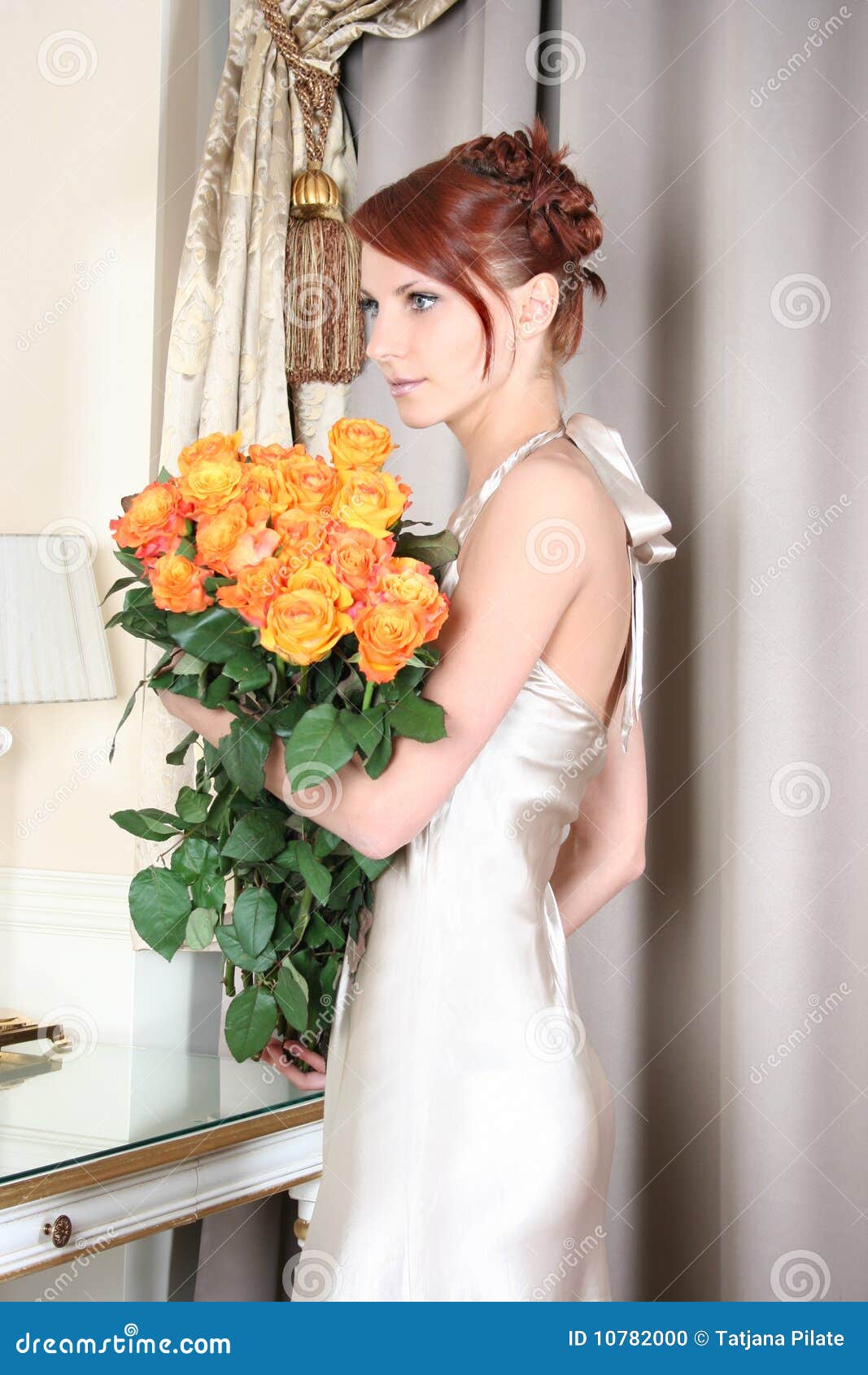 Beautiful elegance stock photo. Image of beauty, dress - 10782000